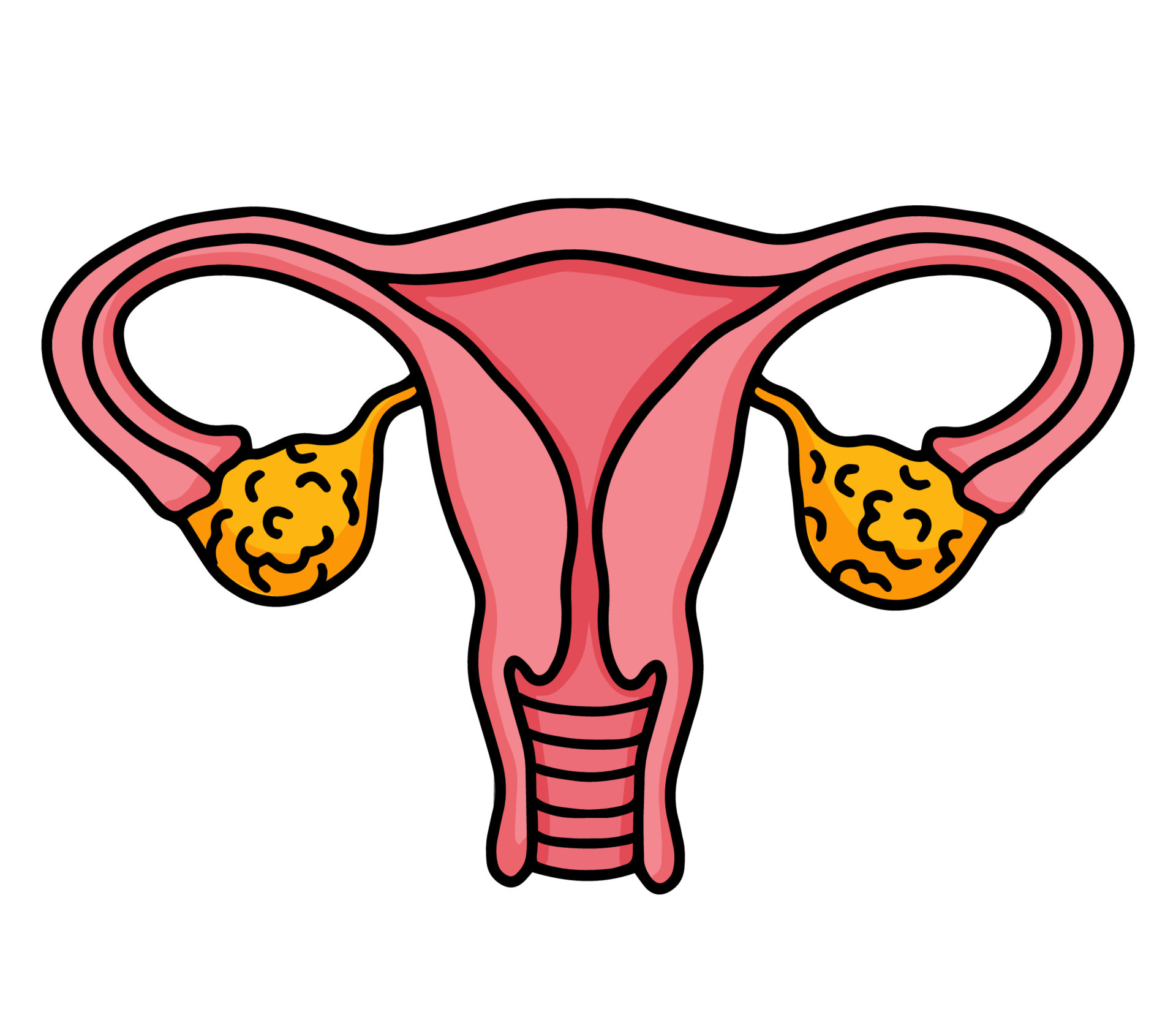 Sistema Reproductivo Femenino útero Y Ovarios Icono Rosa Aislado En