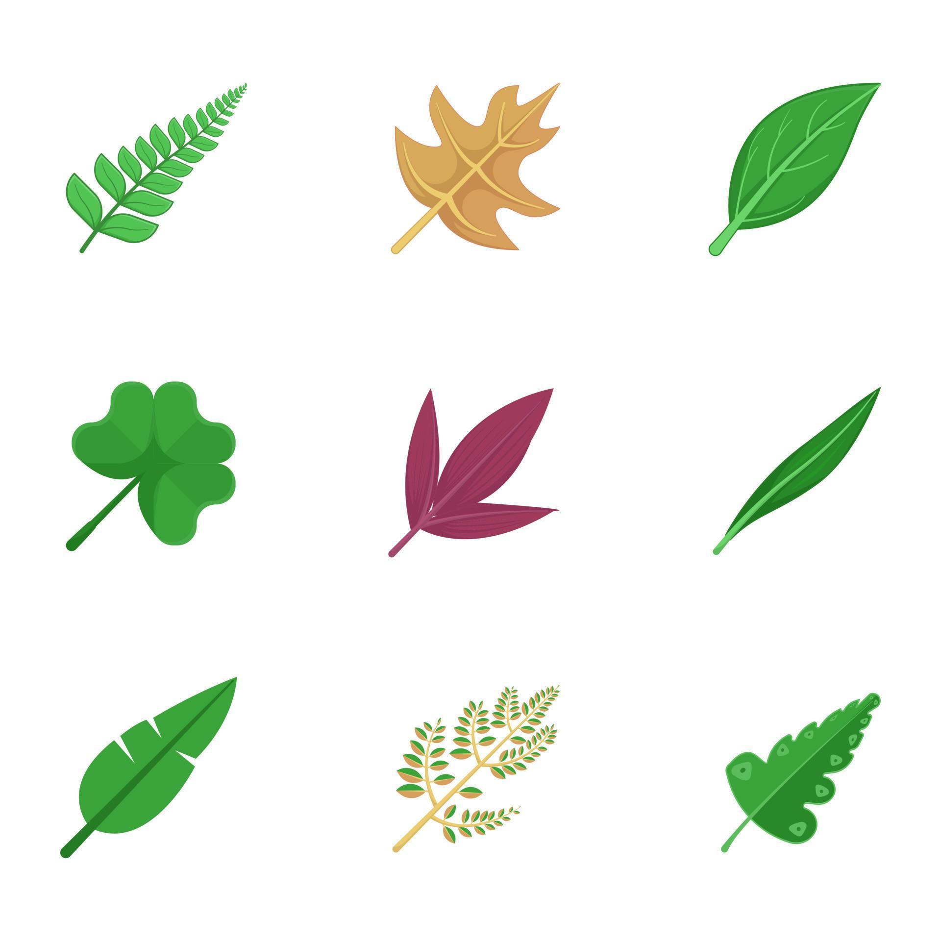 LEAF OBJECTS RANGE VARIOUS SET BUNDLE VECTOR 5428396 Vector Art at Vecteezy