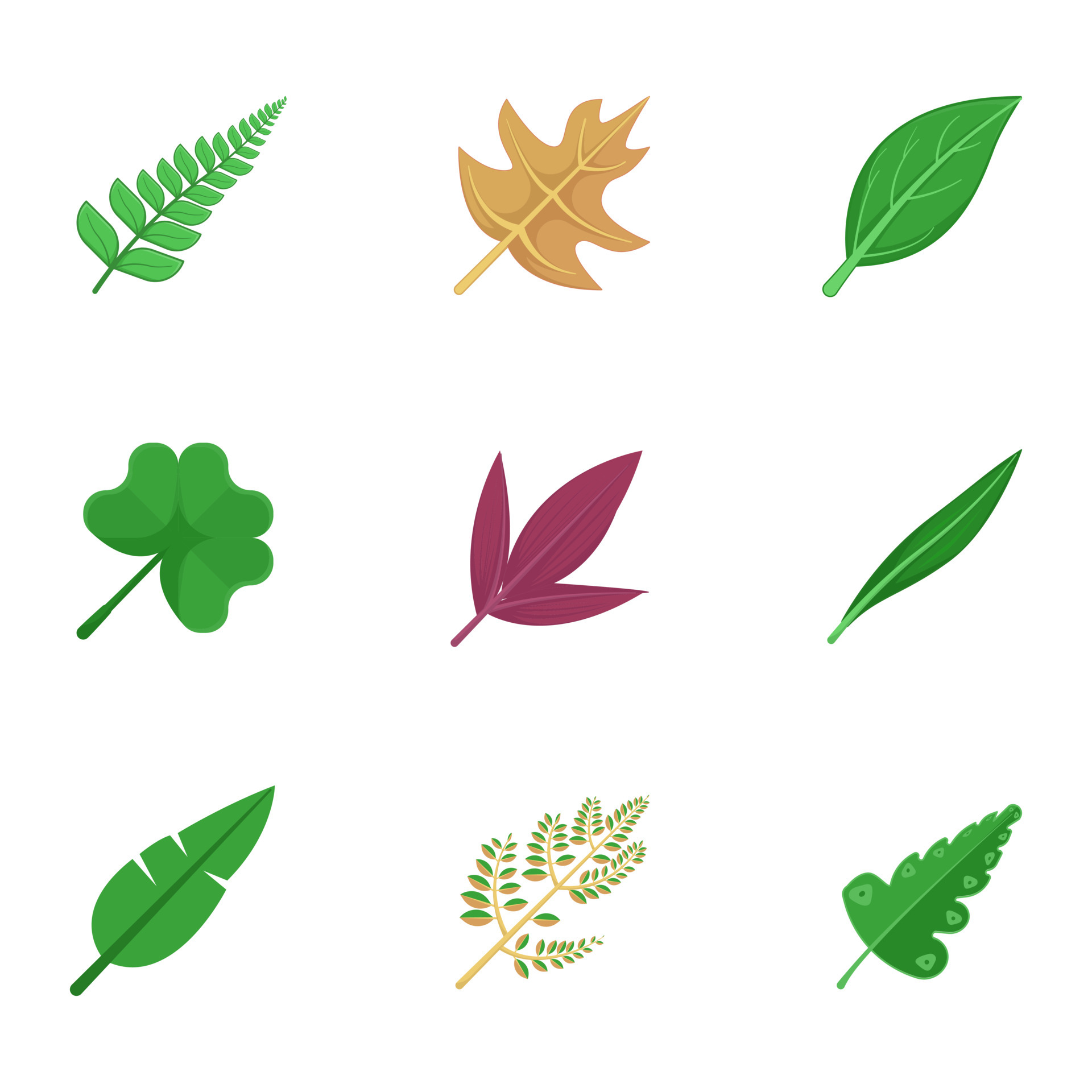 LEAF OBJECTS RANGE VARIOUS SET BUNDLE VECTOR 5428396 Vector Art at Vecteezy