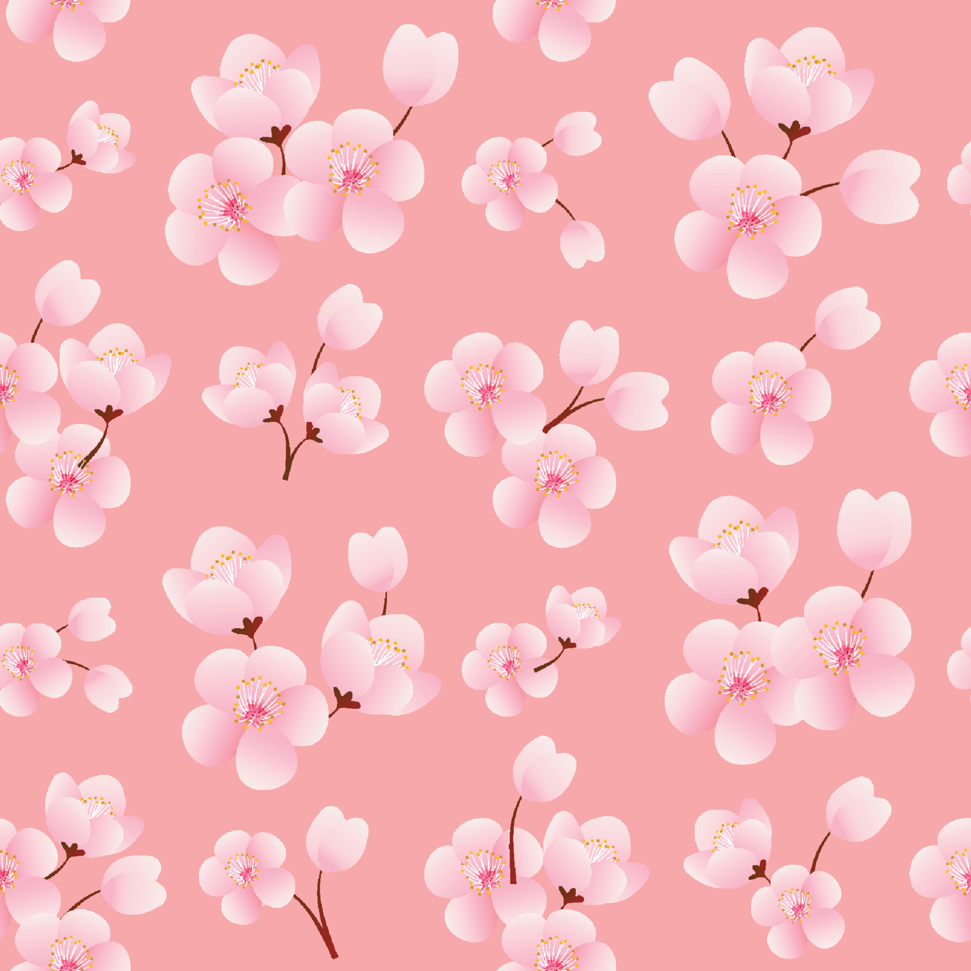 Spring Cherry Blossom 5433856 Vector Art at Vecteezy