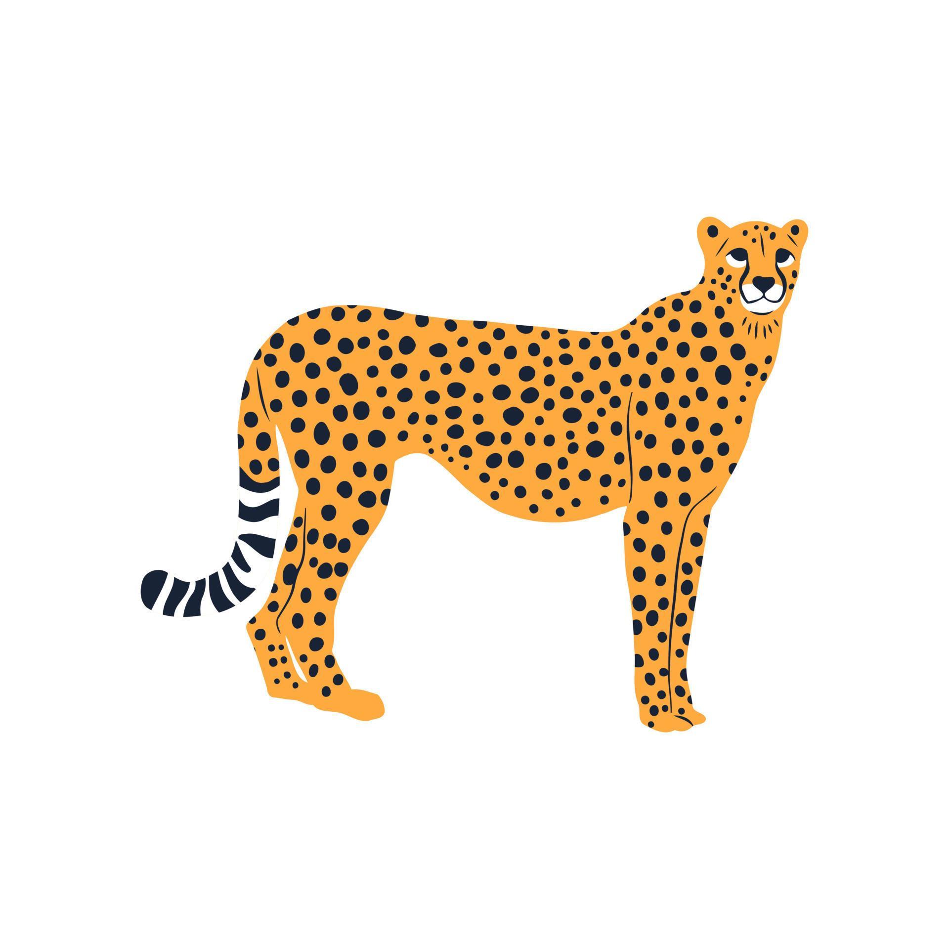 Retro Spotted Cheetah Wild Cat Portrait Art 5575435 Vector Art at Vecteezy