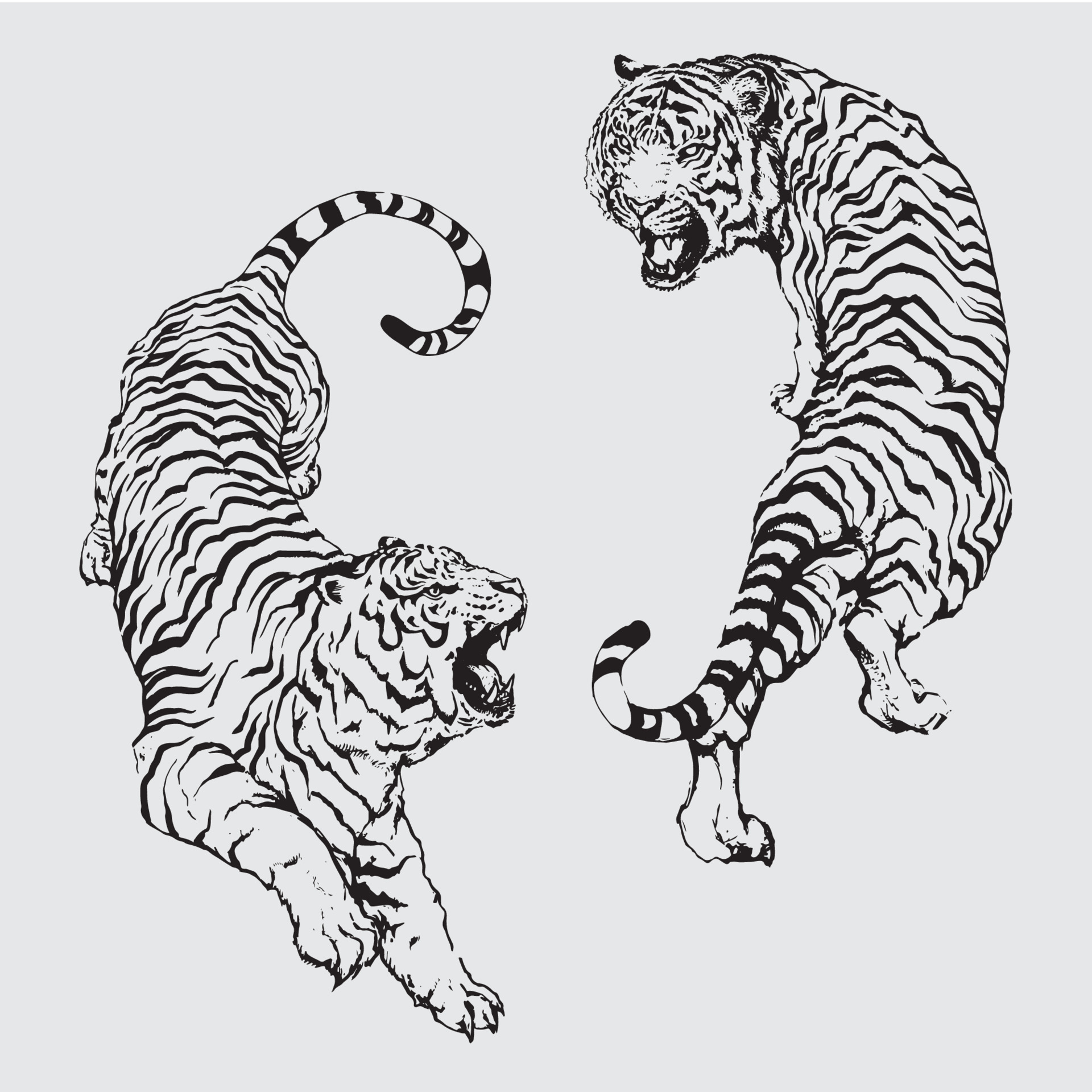 Black And White Ink Draw Tiger Vector Illustration Ve - vrogue.co Black And White Ink Draw Tiger Vector Illustration Ve - vrogue.co