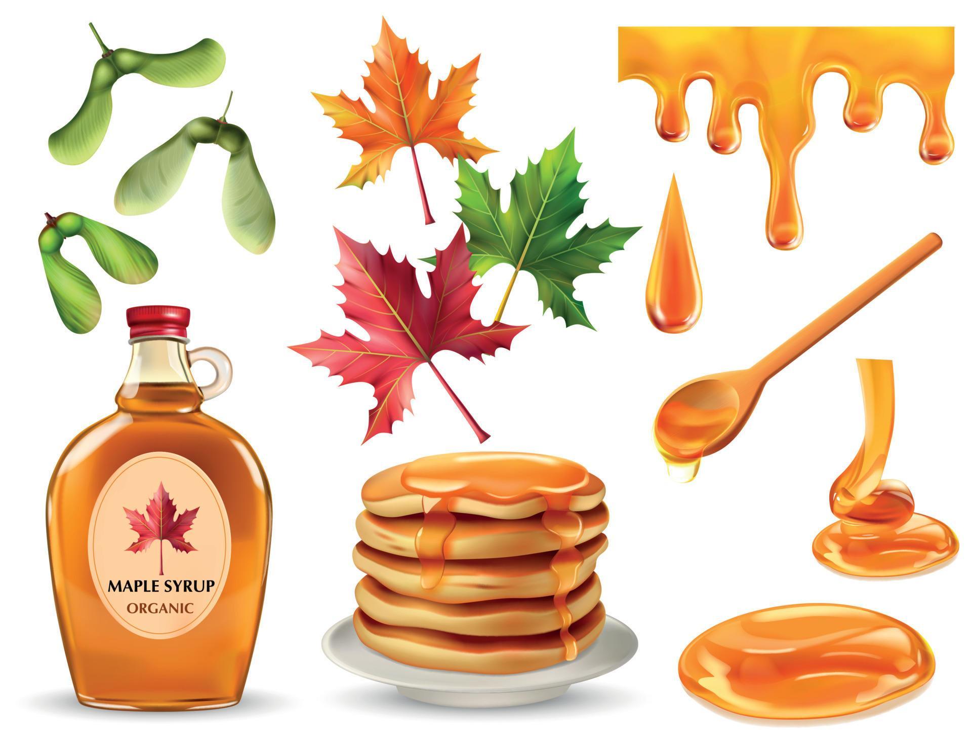 Maple Syrup Set 5751016 Vector Art at Vecteezy