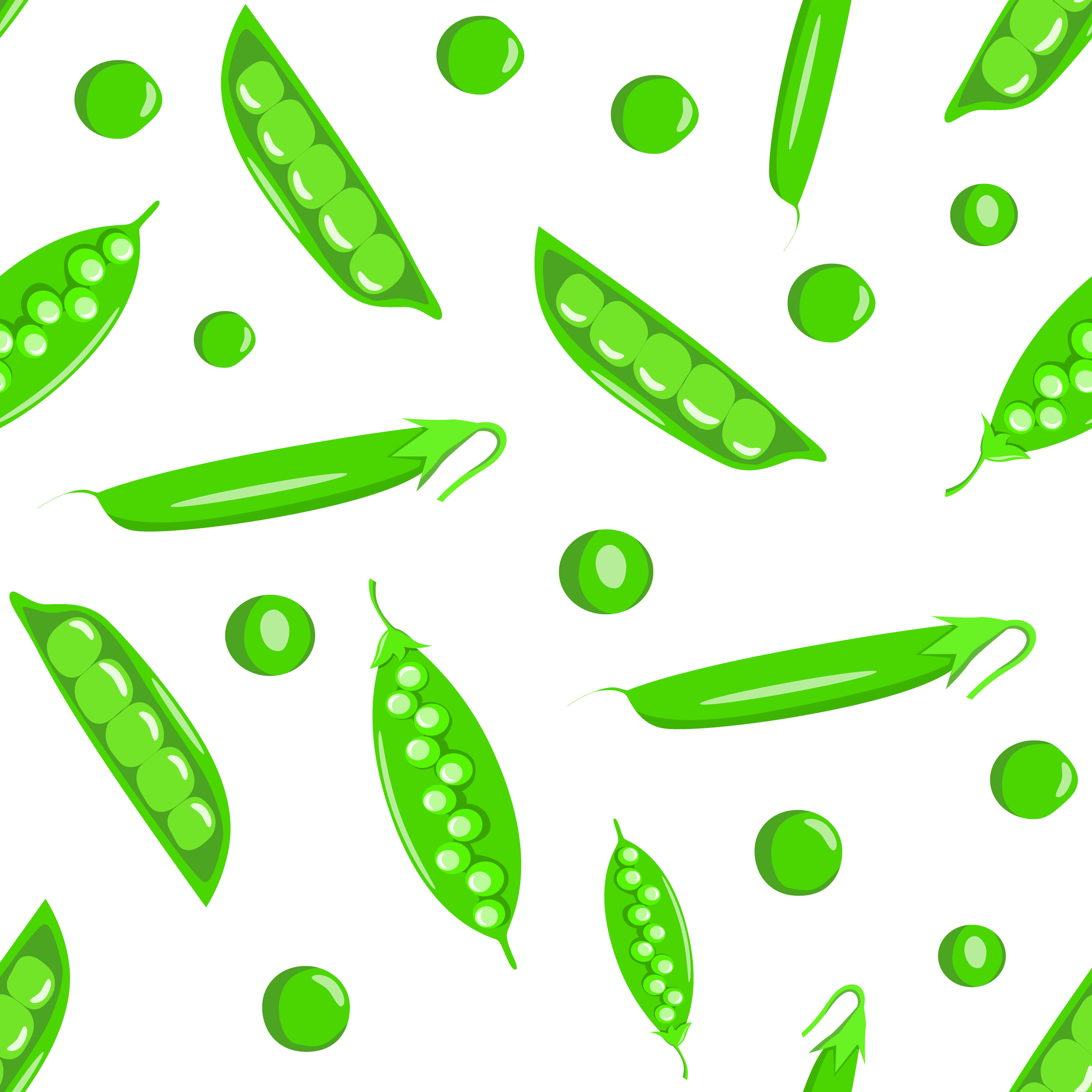 Seamless pattern of fresh green peas on a white background. 5814236 ...
