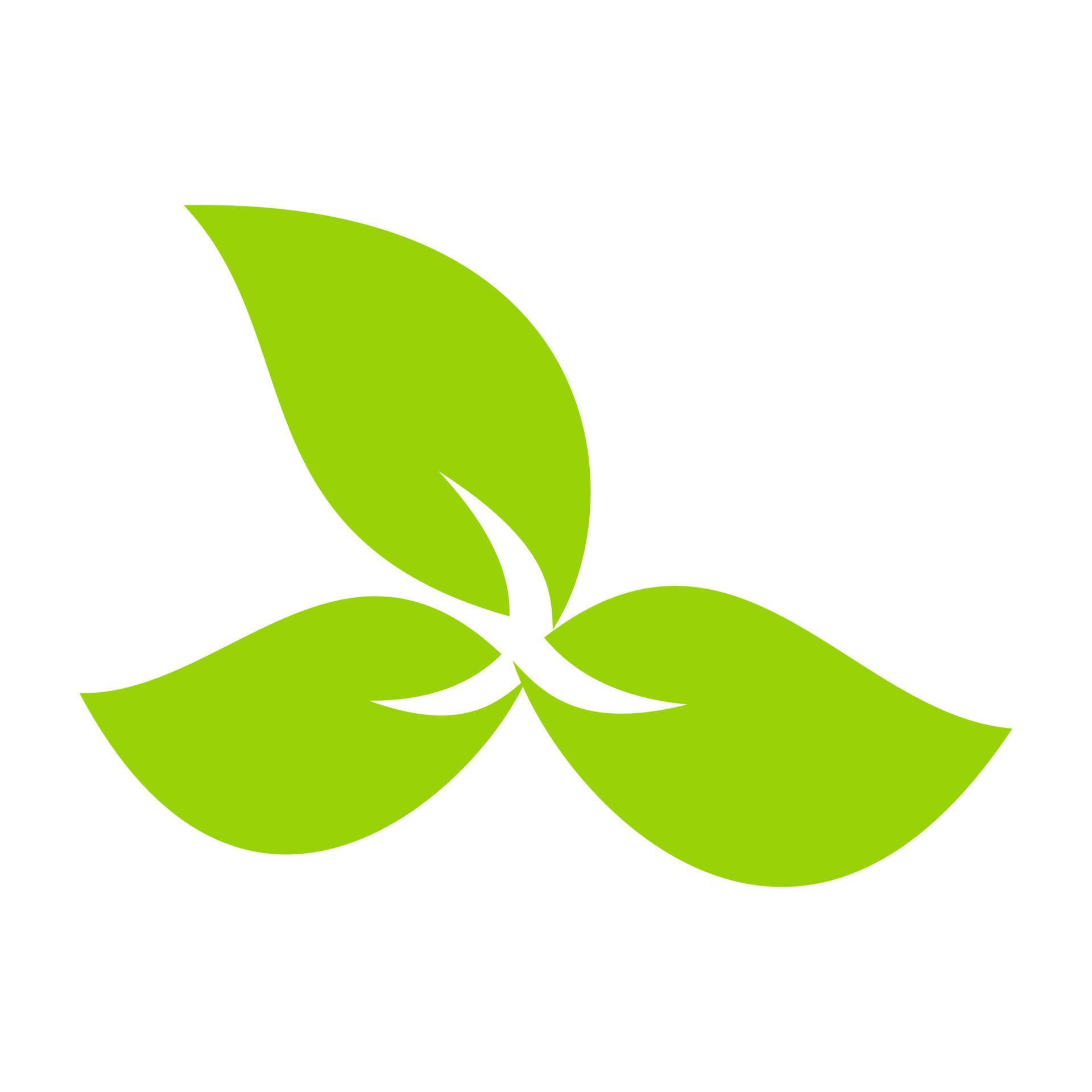 three green leaves vector illustration of a symbol. Part of tree design ...