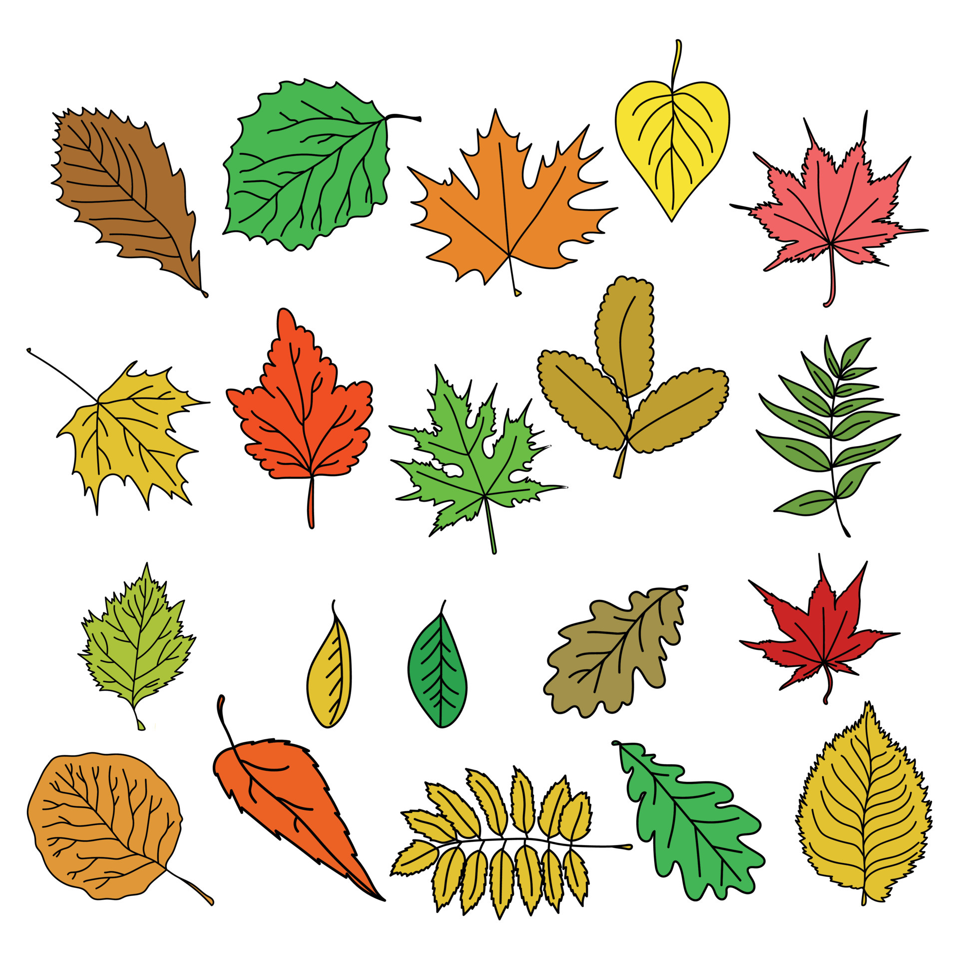 Leaves set in doodle style, bright autumn leaves from different types ...