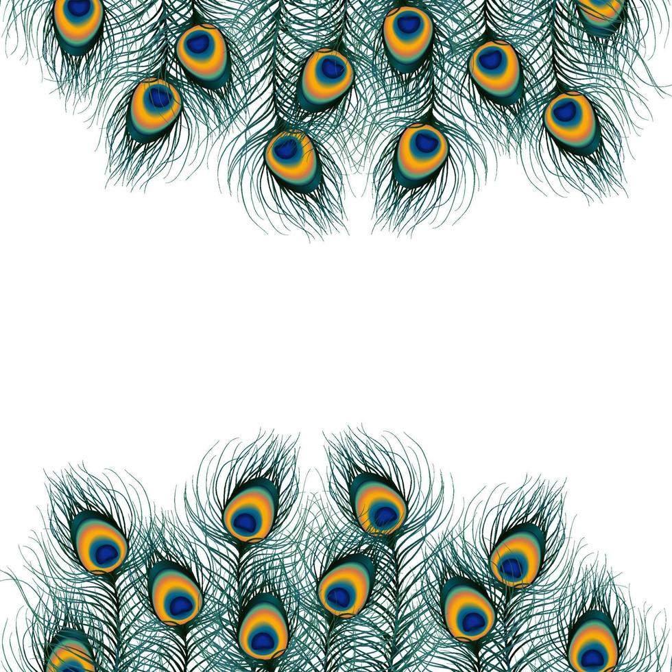 Peacock Feather On Isolated Background 5901509 Vector Art At Vecteezy