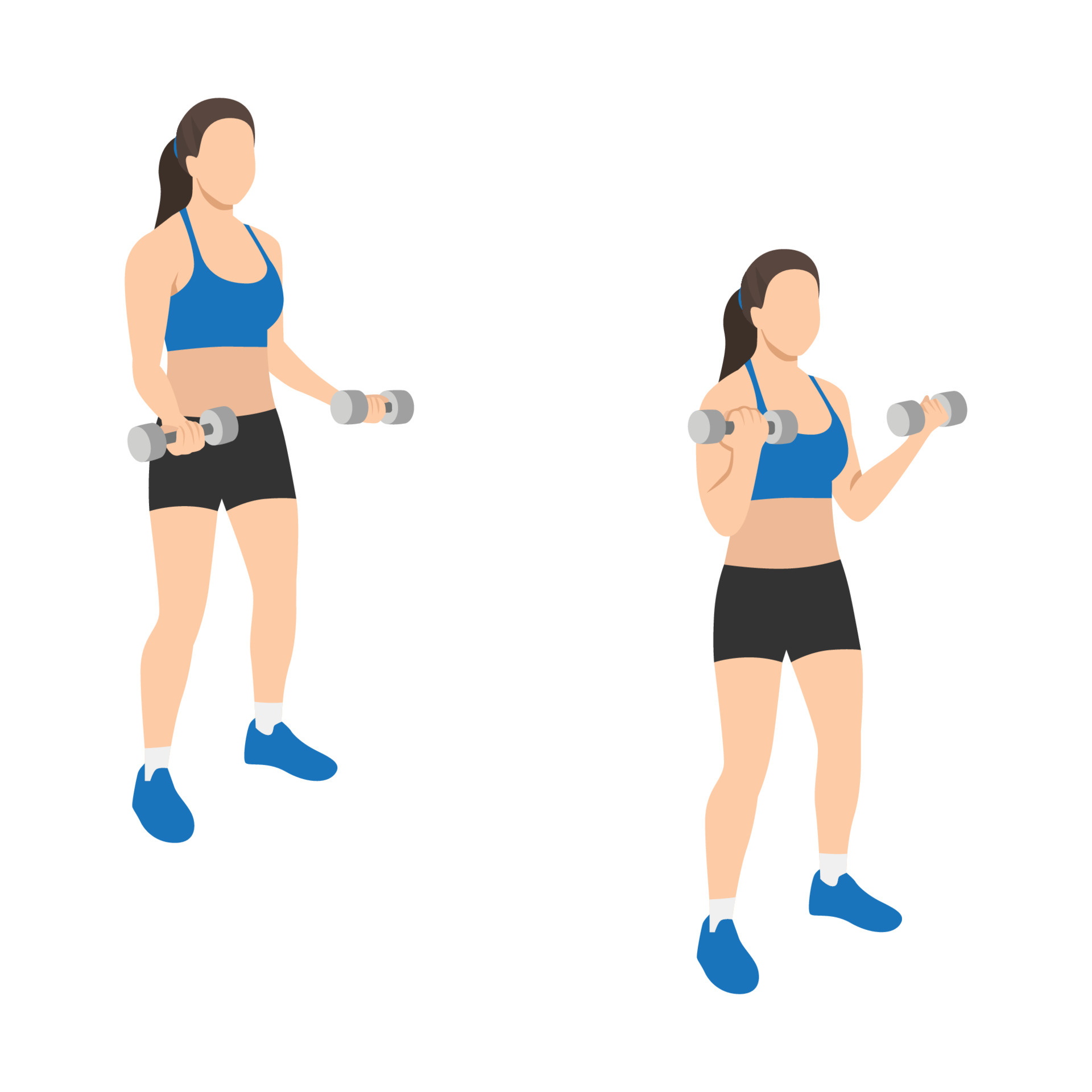 Biceps Curl Exercise