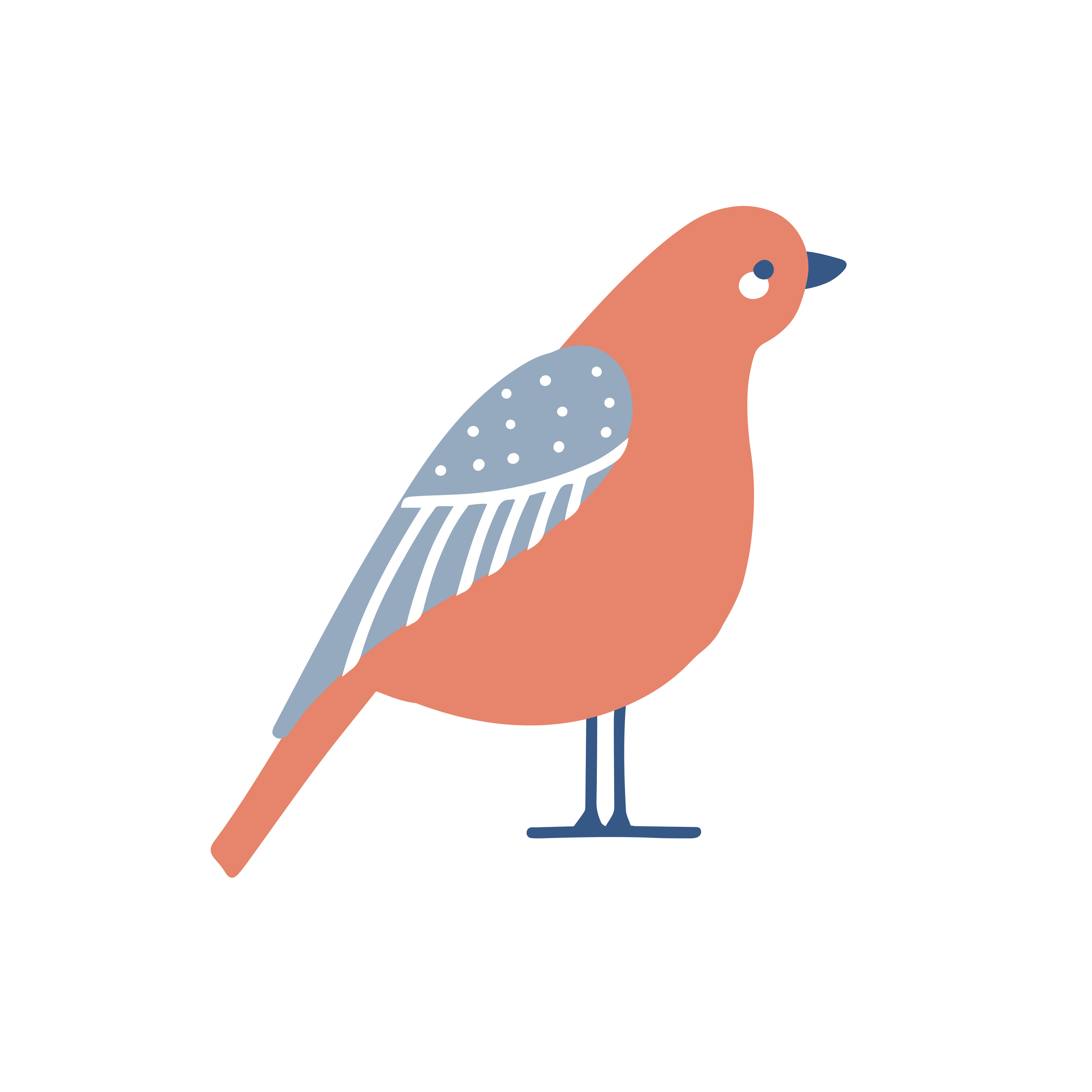 Abstract simple bird. Scandinavian freehand design. isolated element ...