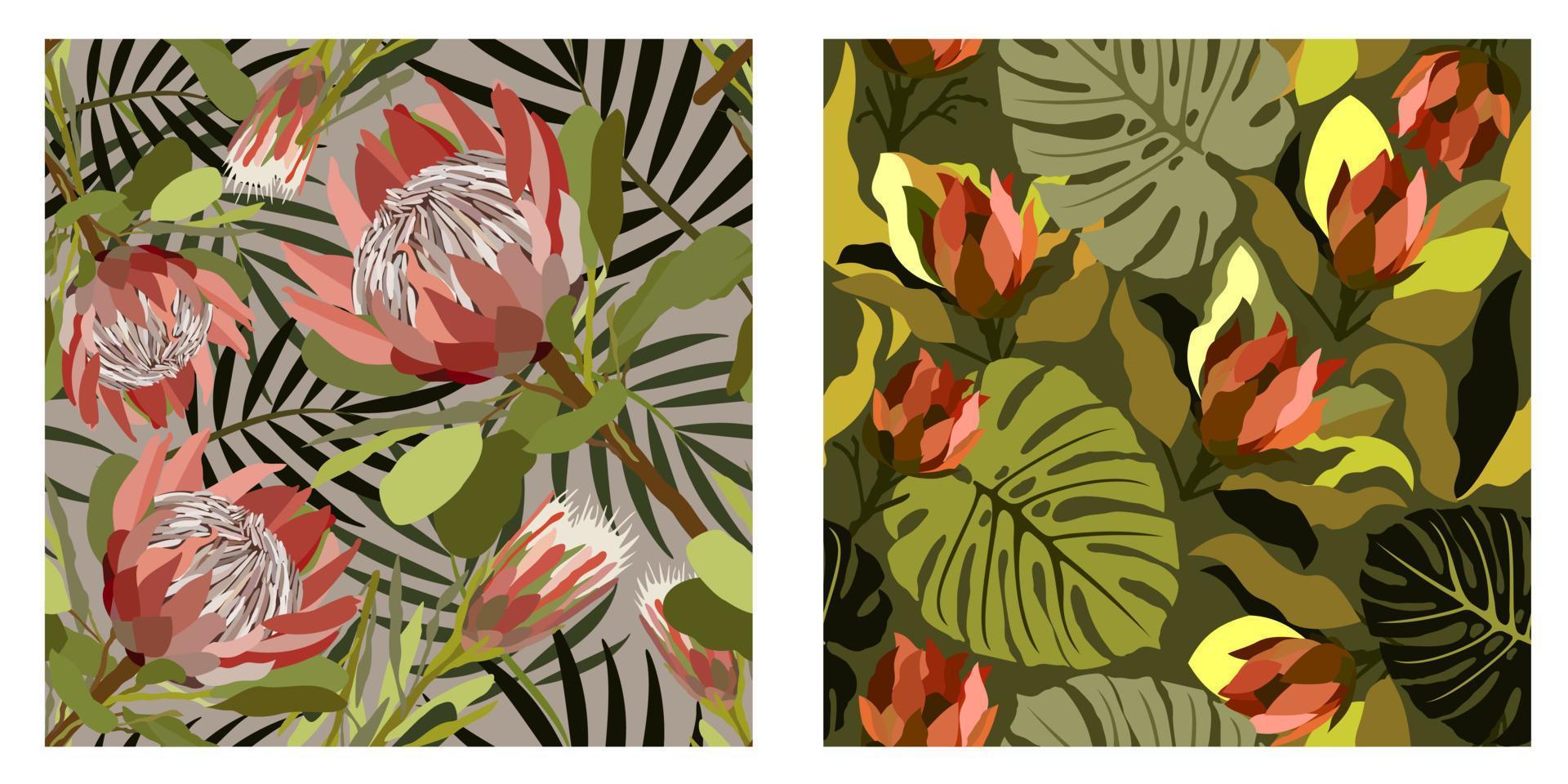 Protea pattern set 6043935 Vector Art at Vecteezy