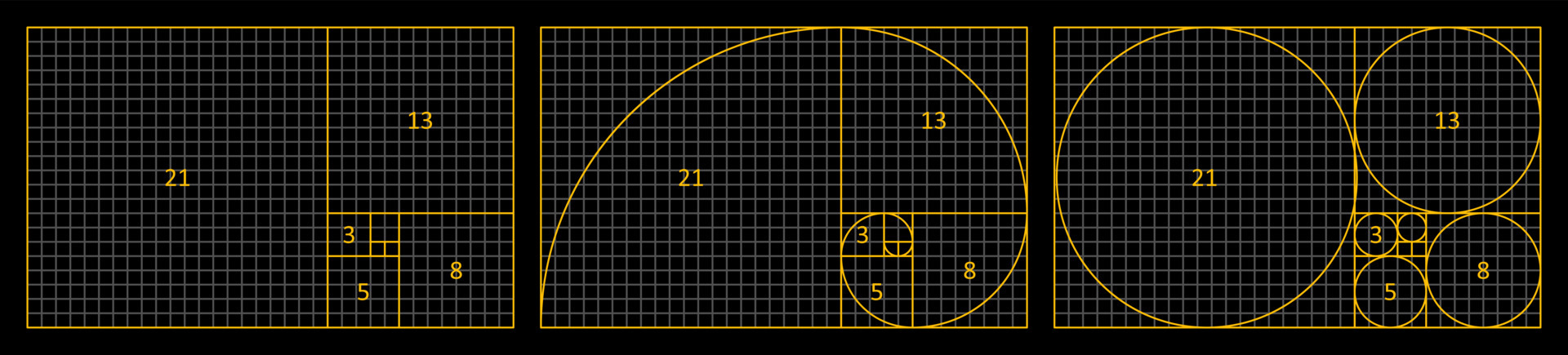 Golden Ratio Fibonacci set. A spiral for harmony, composition, logos and designs. Correct ...