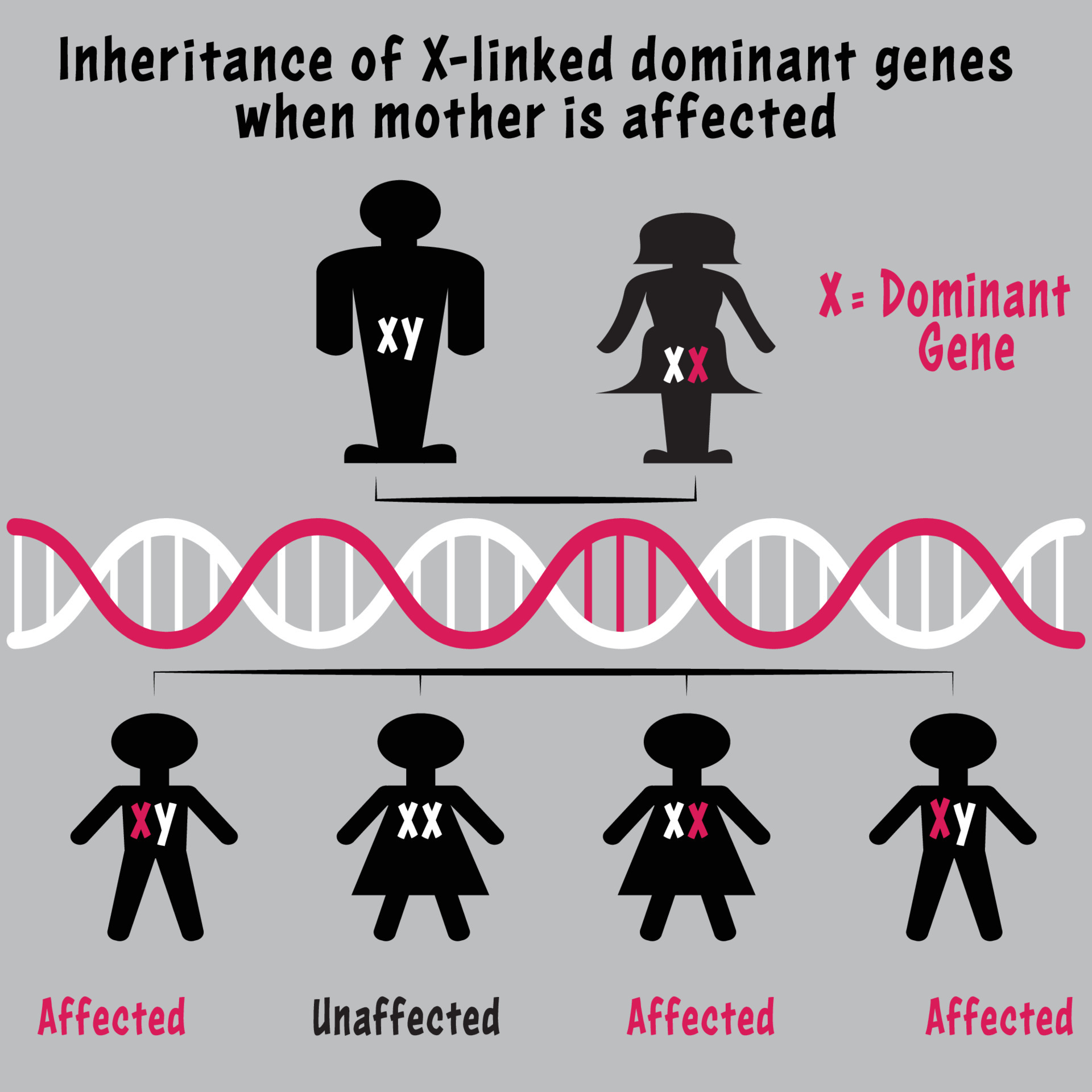 Genetic Inheritance