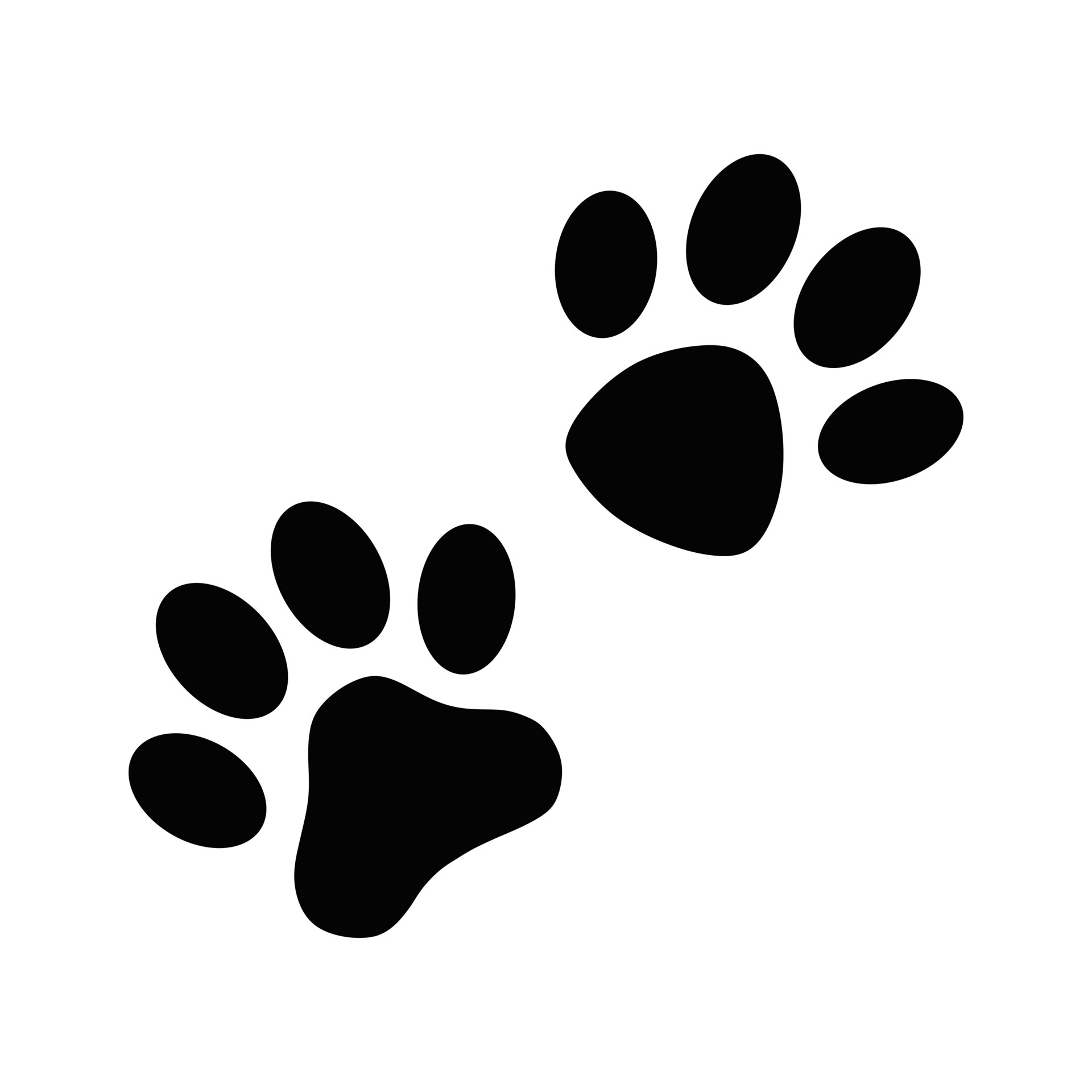 Dog paw prints paw print dog 6211943 Vector Art at Vecteezy Dog paw prints paw print dog 6211943 Vector Art at Vecteezy
