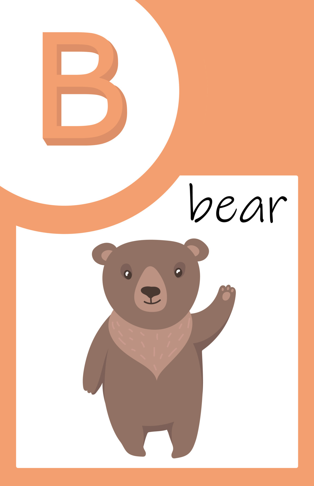 Flash Card Animal Alphabet B 6234742 Vector Art at Vecteezy