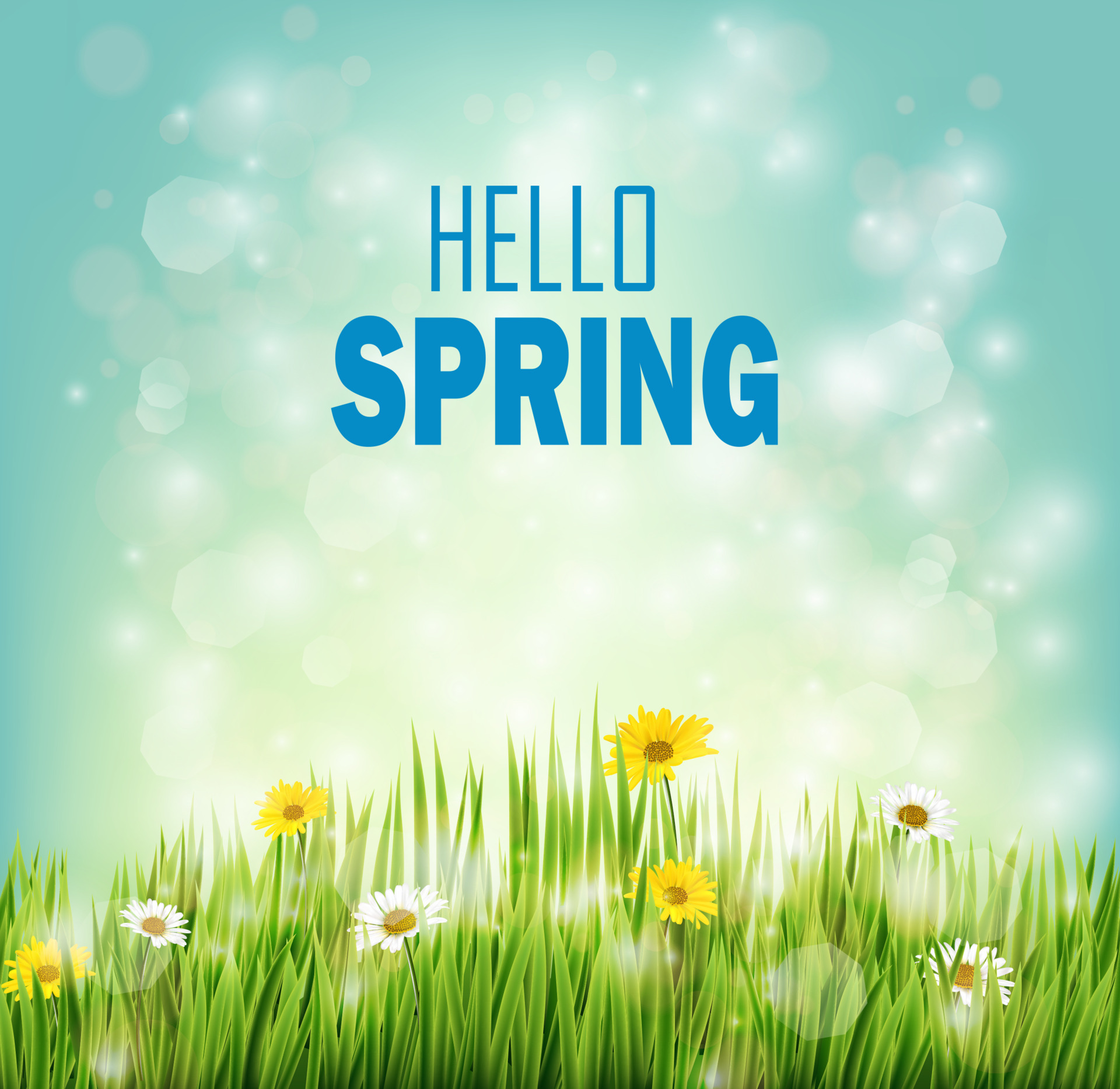 Spring background with flowers and butterflies in meadow and pine trees ...