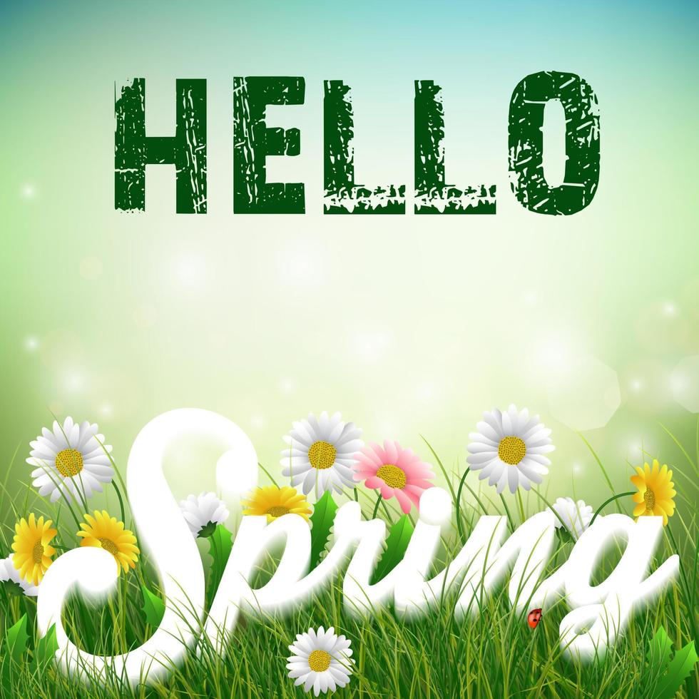 Spring background with word Spring in the grass and flowers.Vector ...