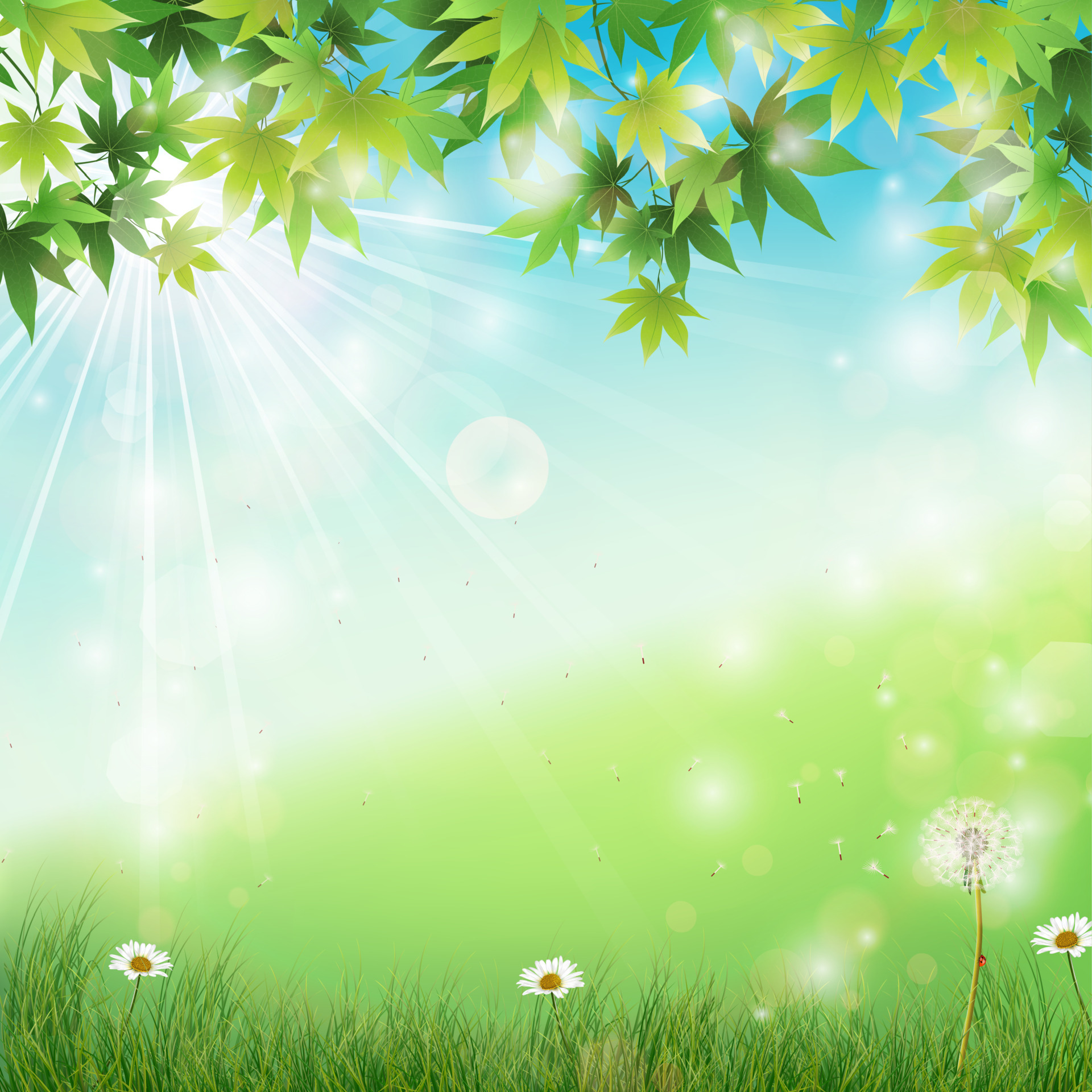 Spring background with white dandelions in grass.Vector 6362137 Vector ...