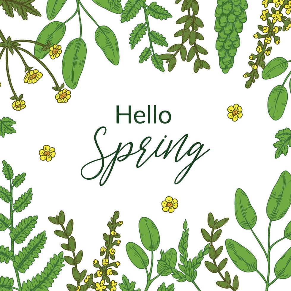 Gentle spring design with floral elements. Hand drawn vector ...