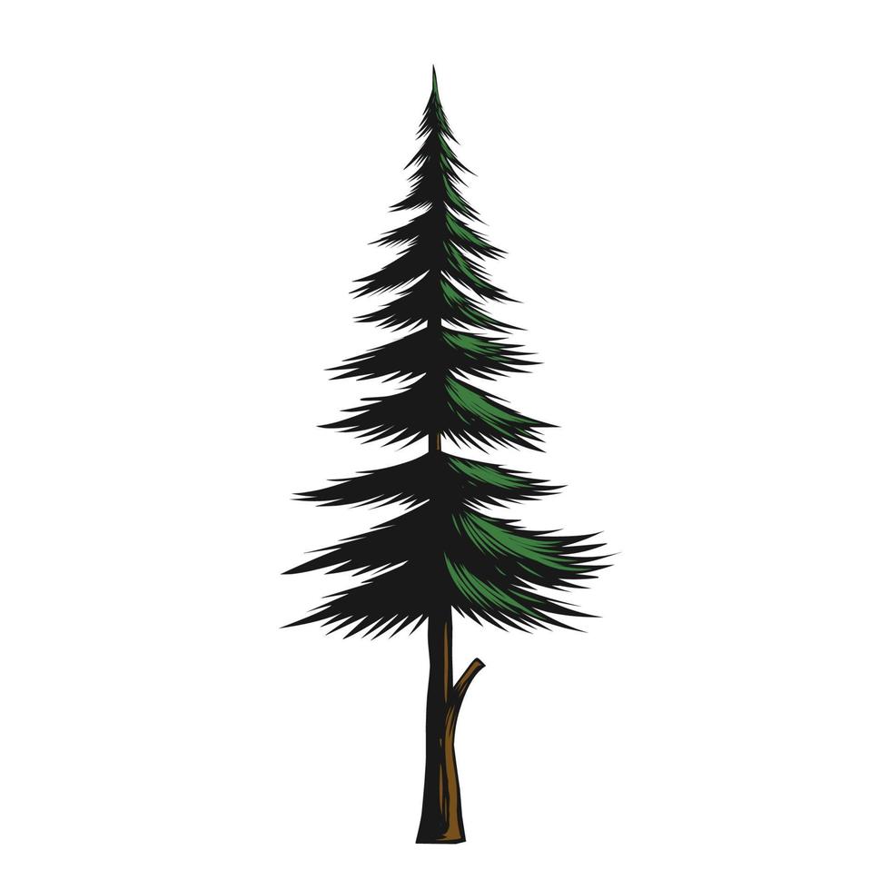 illustration of a pine tree 6395979 Vector Art at Vecteezy