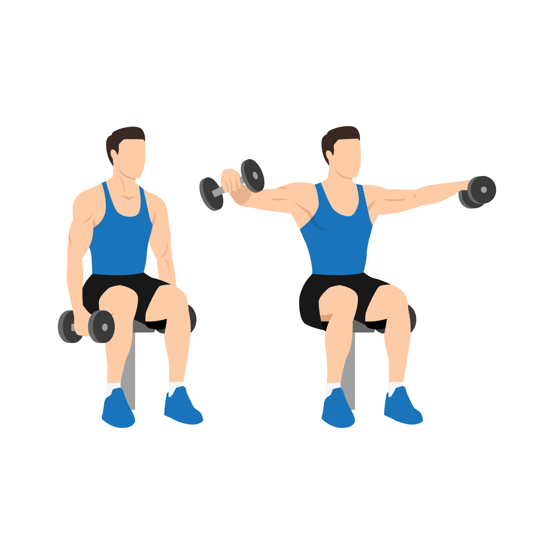 Seated Dumbbell Lat Raise Atelier Yuwaciaojp
