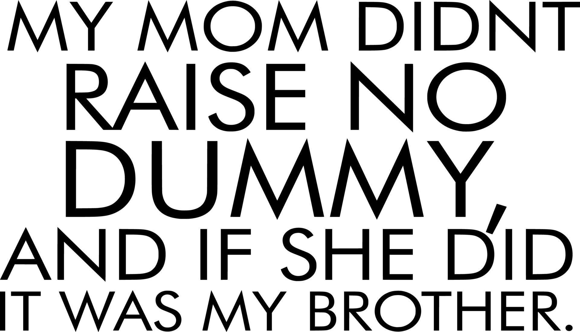 My Mom Didnt Raise No Dummy And If She Did It Was My Brother 6428306