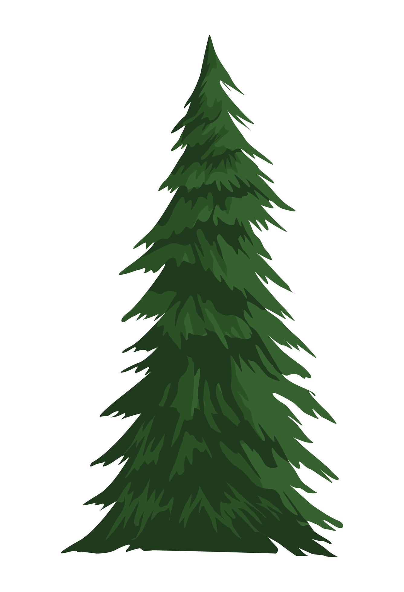 pine tree plant 6440486 Vector Art at Vecteezy