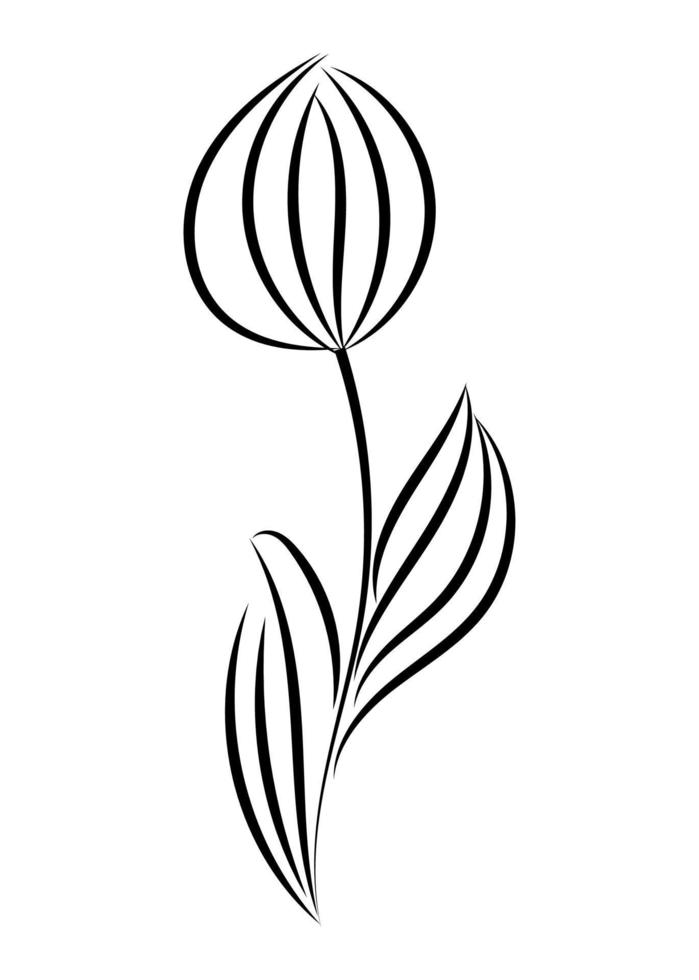 Abstract Line Simple Designs