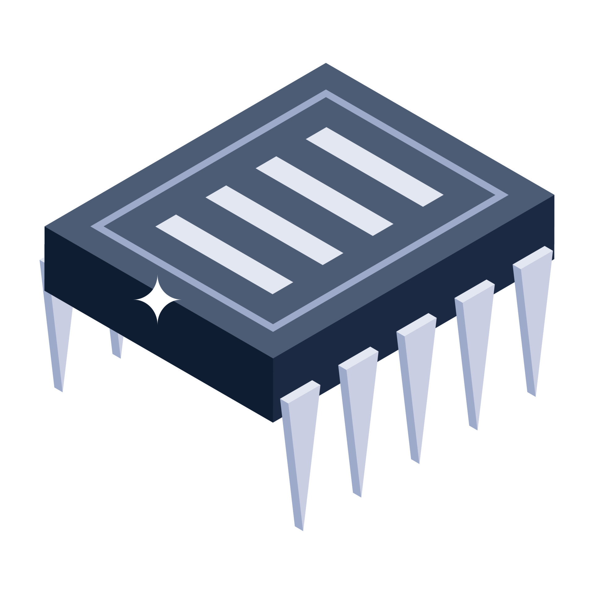 Integrated Circuit Vector