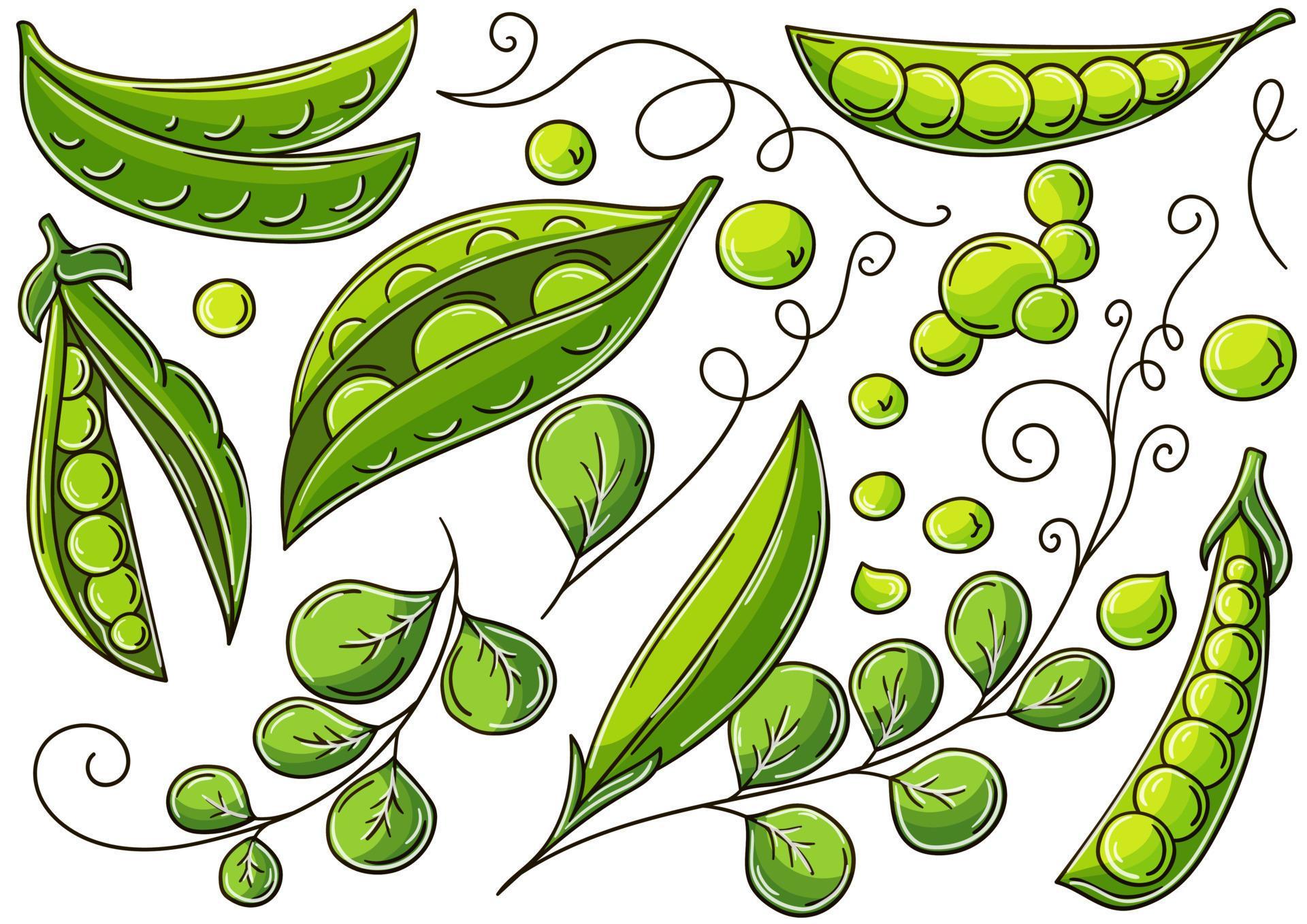 Set of vector illustrations in hand drawn style 6560260 Vector Art at ...