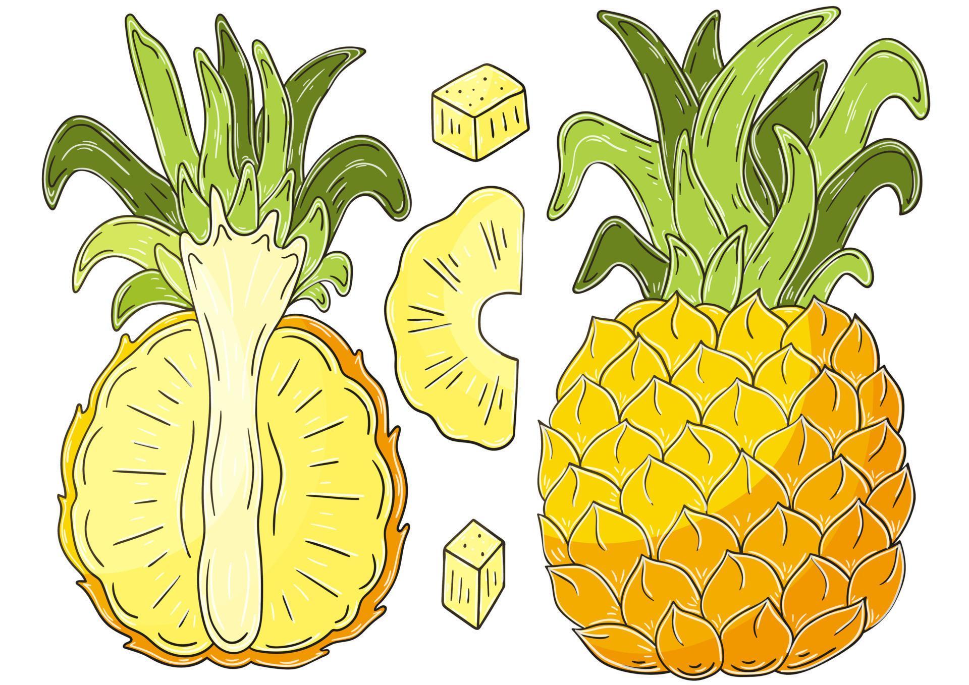 Set of vector illustrations in hand drawn style 6560525 Vector Art at ...