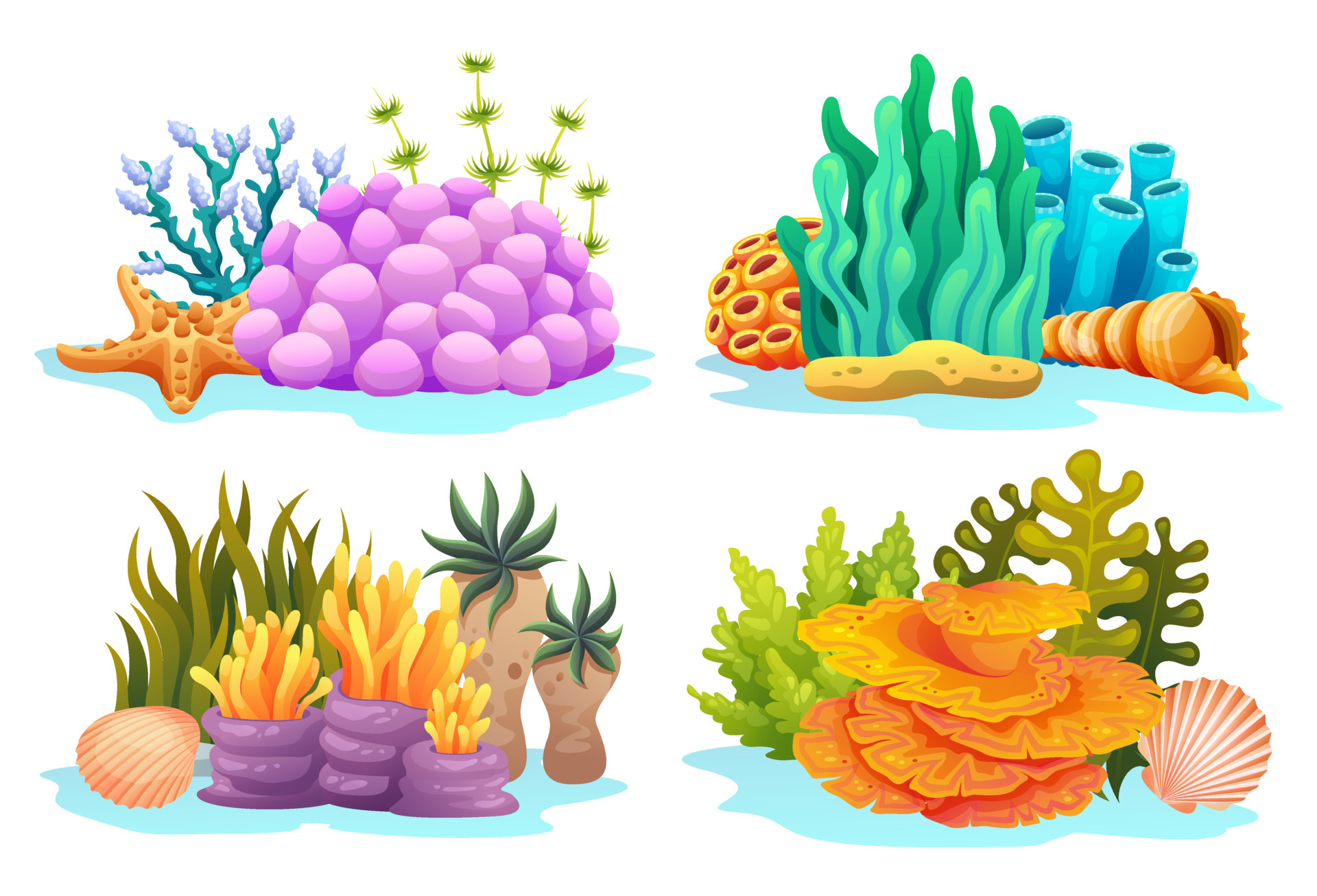 Collection Of Coral Reefs Algae Seaweed And Seashells In Various