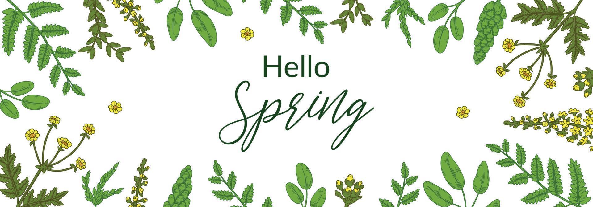 Hello Spring banner with green floral elements. Hand drawn vector ...