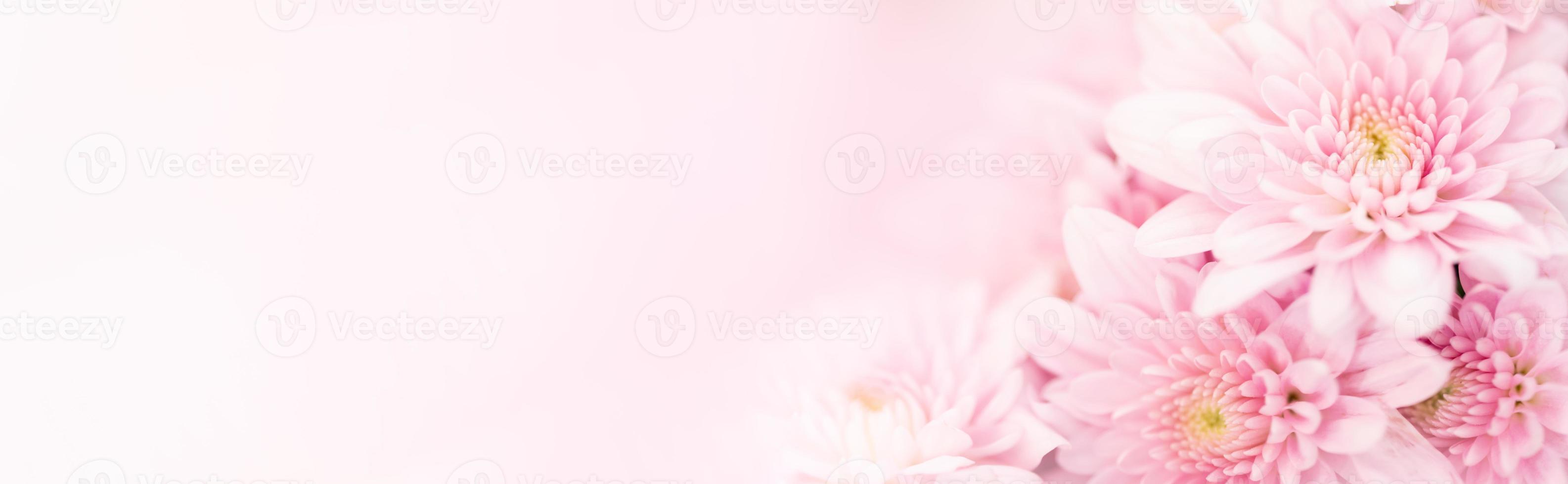 Nature of flower in garden using as cover page background natural flora ...