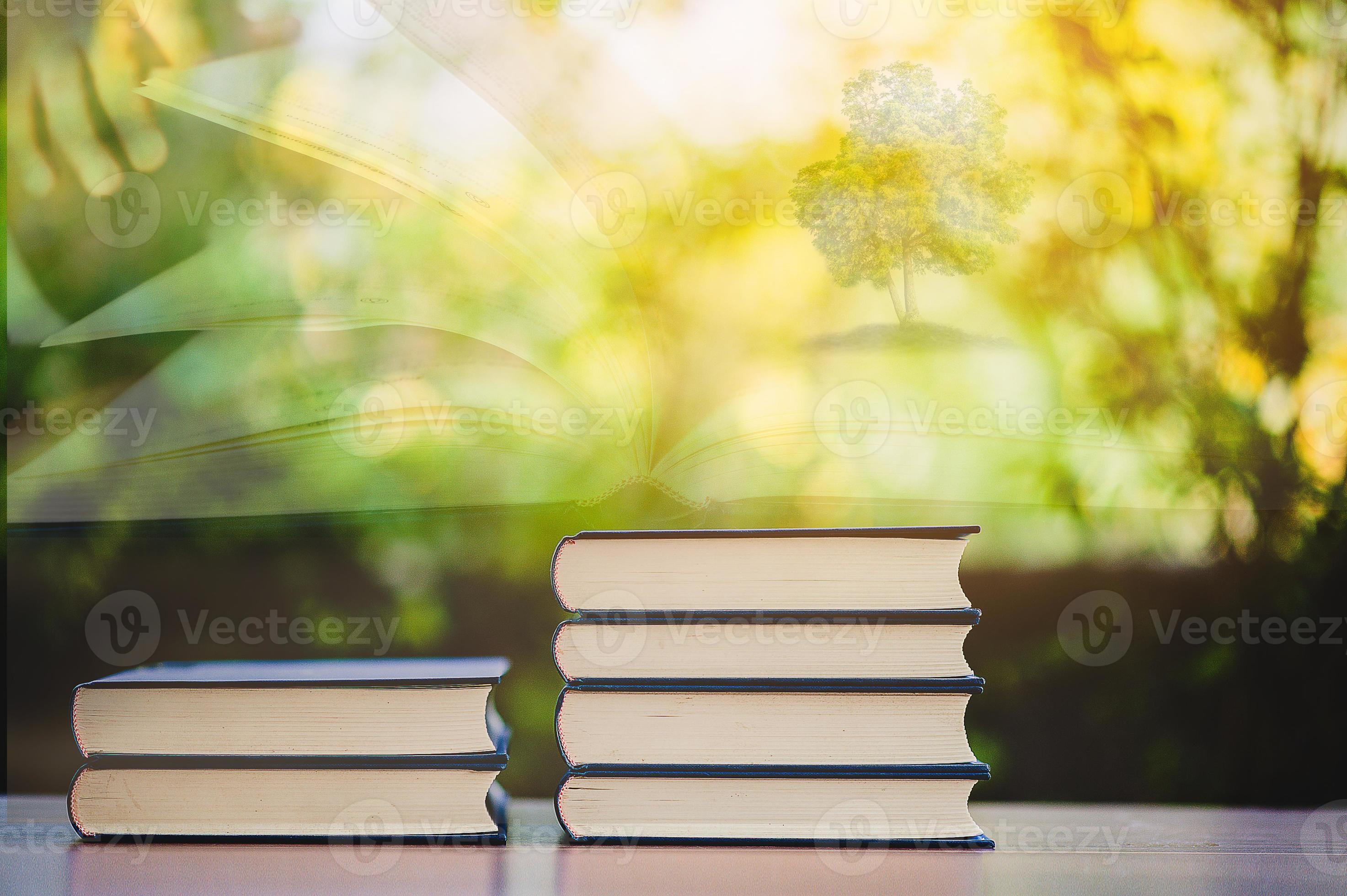 Studying Books And Learning Materials 6650214 Stock Photo At Vecteezy studying-books-and-learning-materials-6650214-stock-photo-at-vecteezy