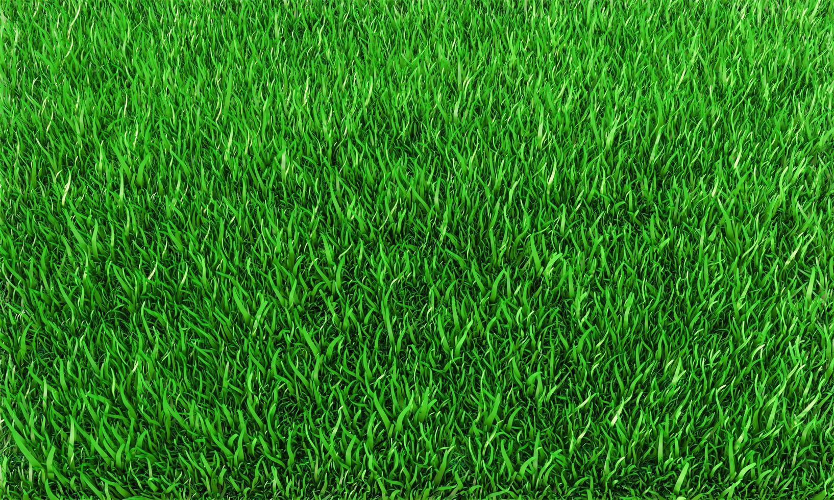 Grass Top View Wallpaper