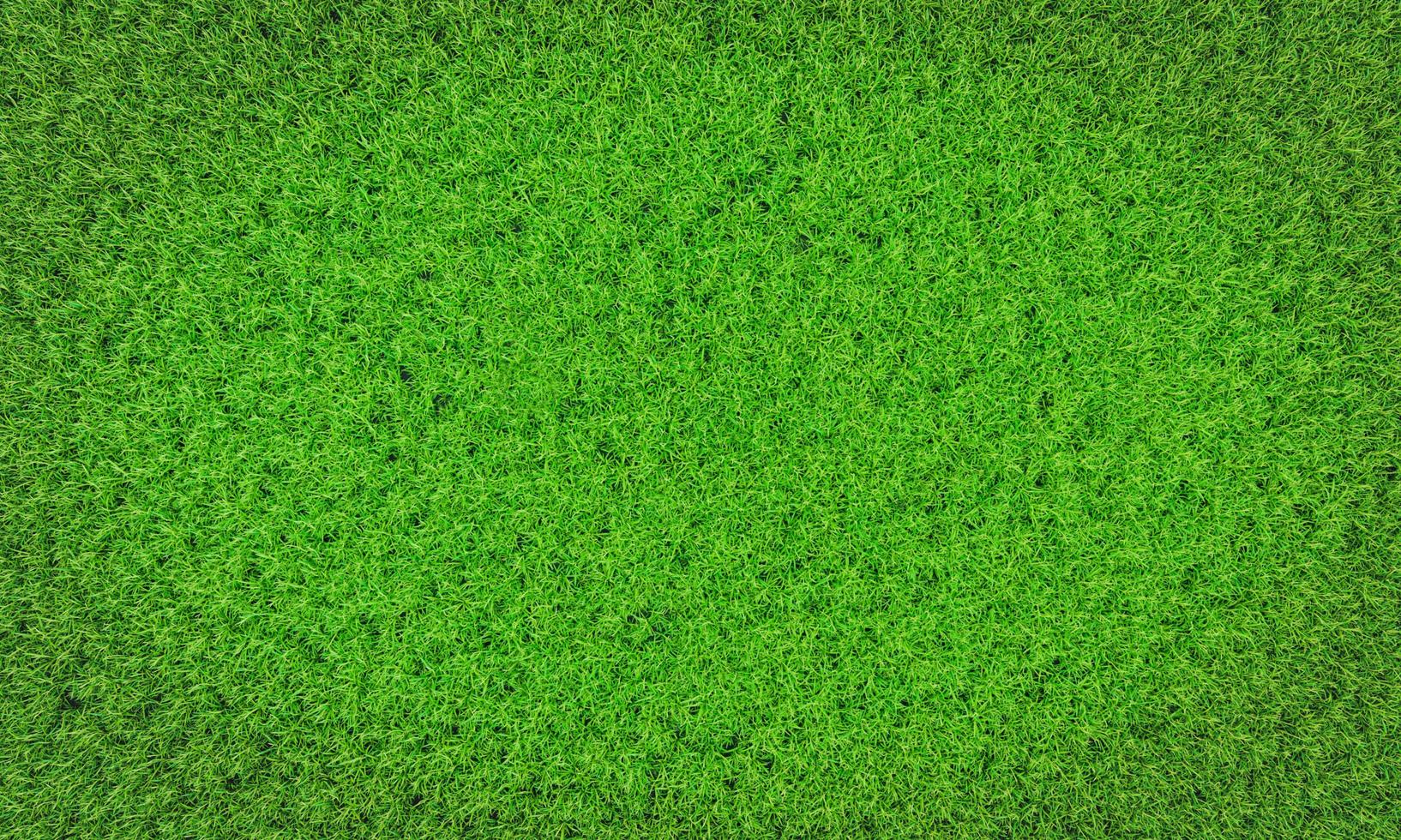 Grass With Flowers Top View