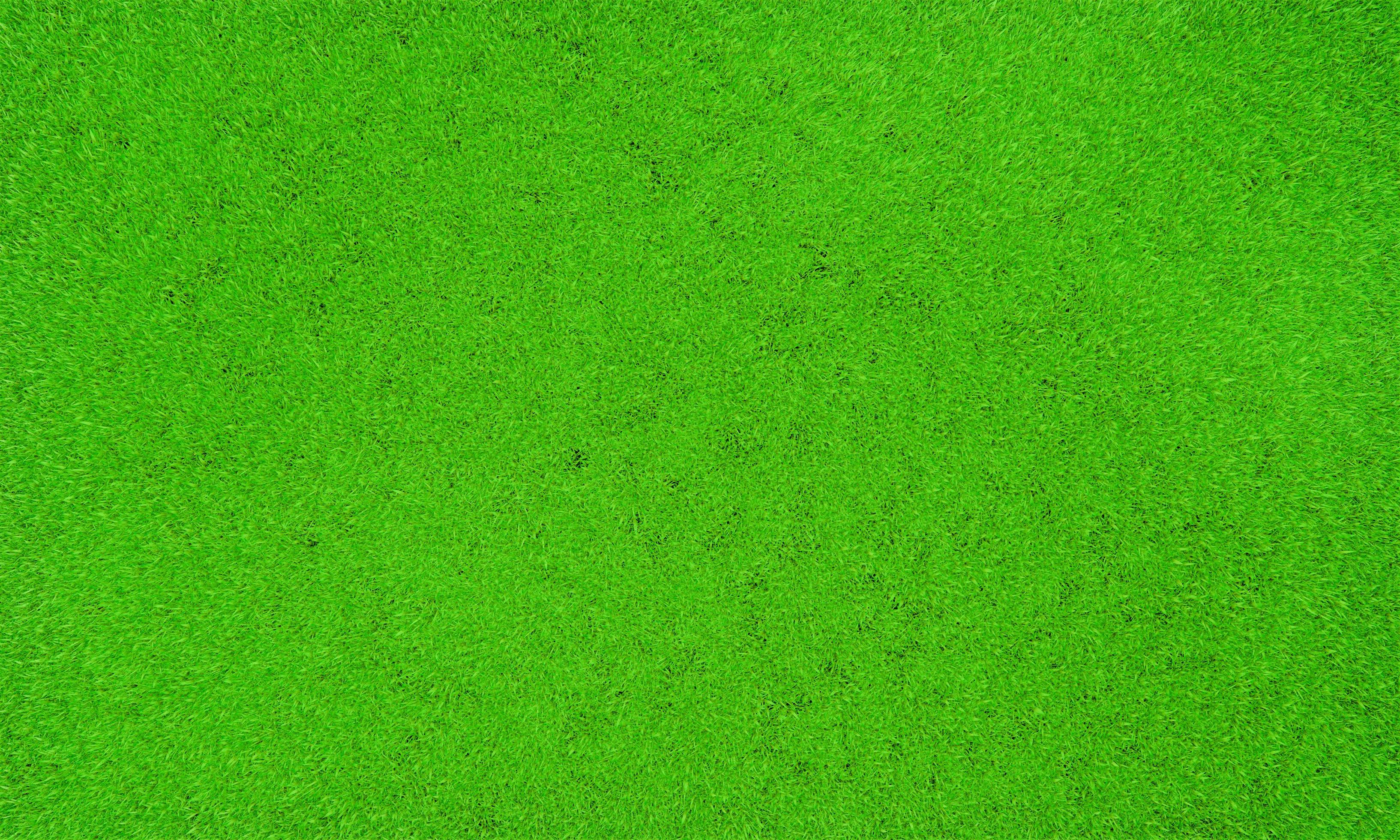 Top view Fresh green lawns for background, backdrop or wallpaper ...