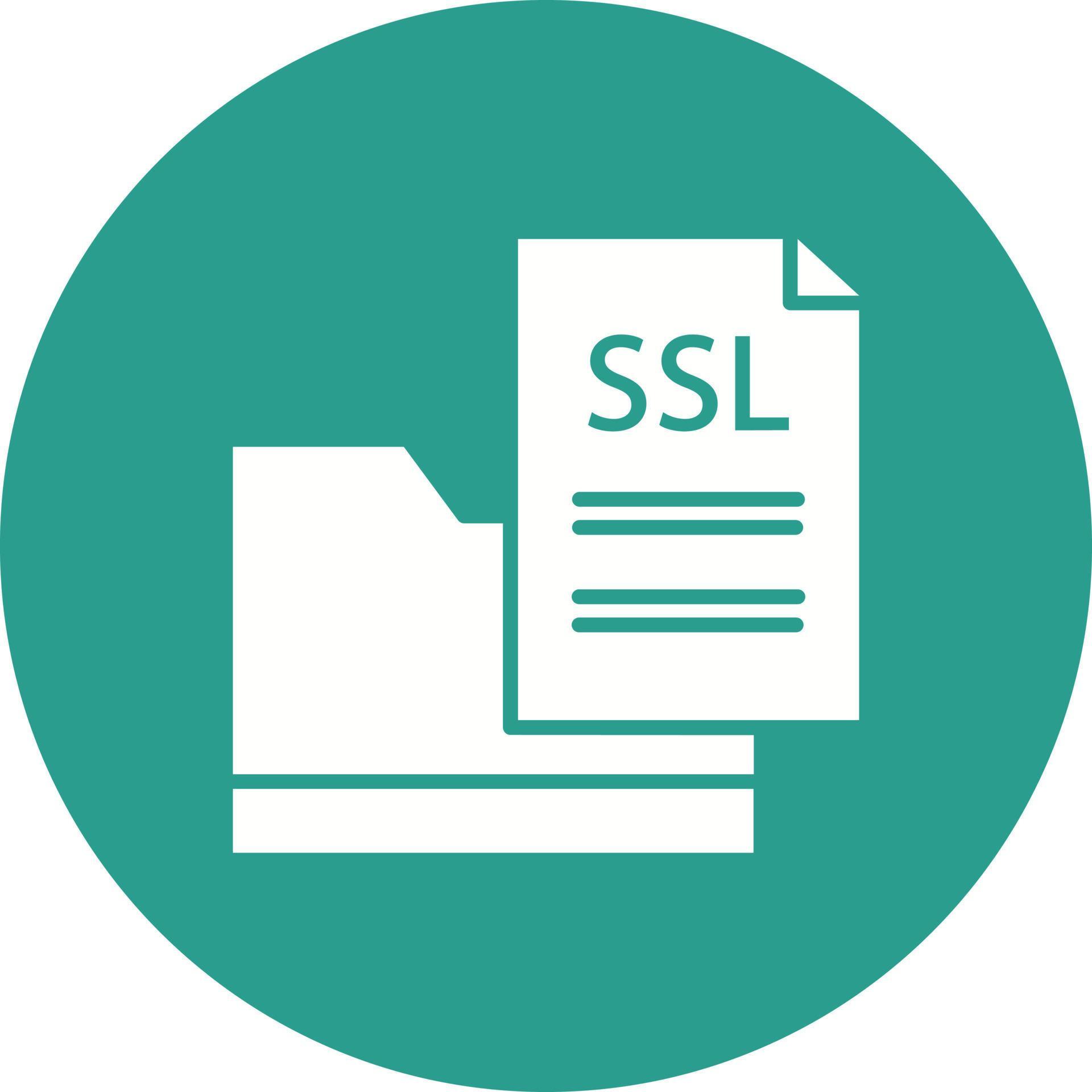 SSL File Glyph Circle Background Icon 6673742 Vector Art at Vecteezy