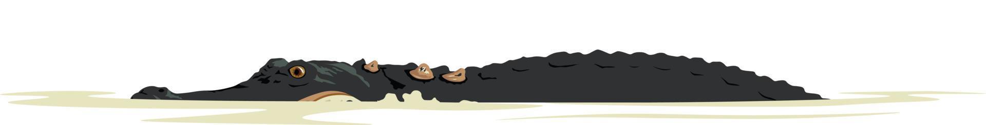Alligator swimming illustration 6683742 Vector Art at Vecteezy