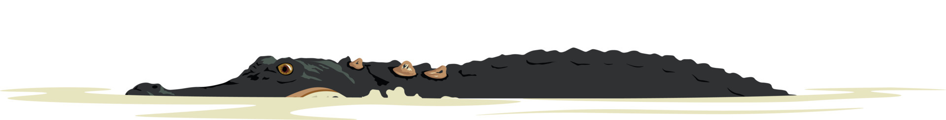 Alligator swimming illustration 6683742 Vector Art at Vecteezy