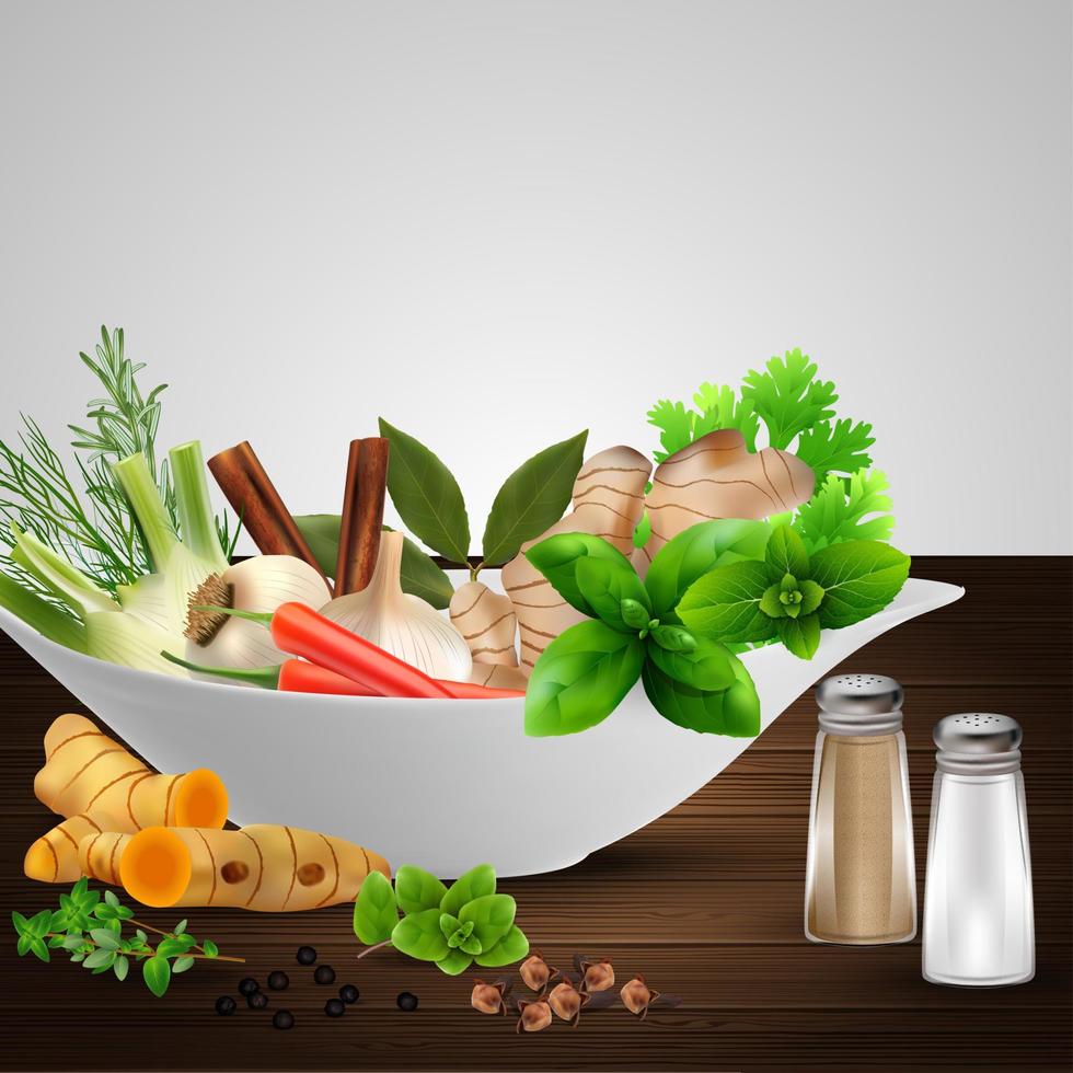 Different seasonings, condiment and spices with plates.Vector ... Different seasonings, condiment and spices with plates.Vector ...