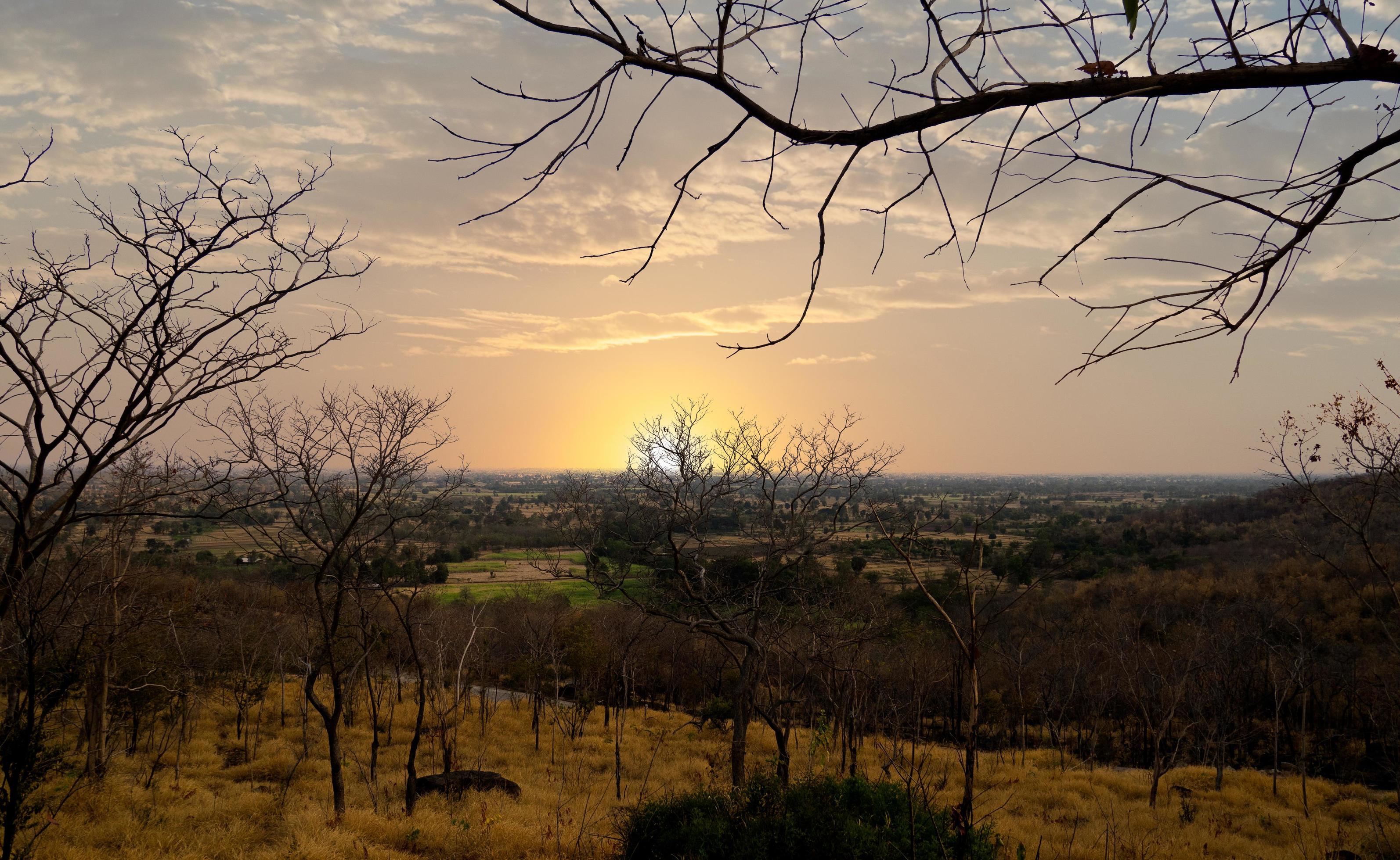 sunset and trees without leave 6755412 Stock Photo at Vecteezy