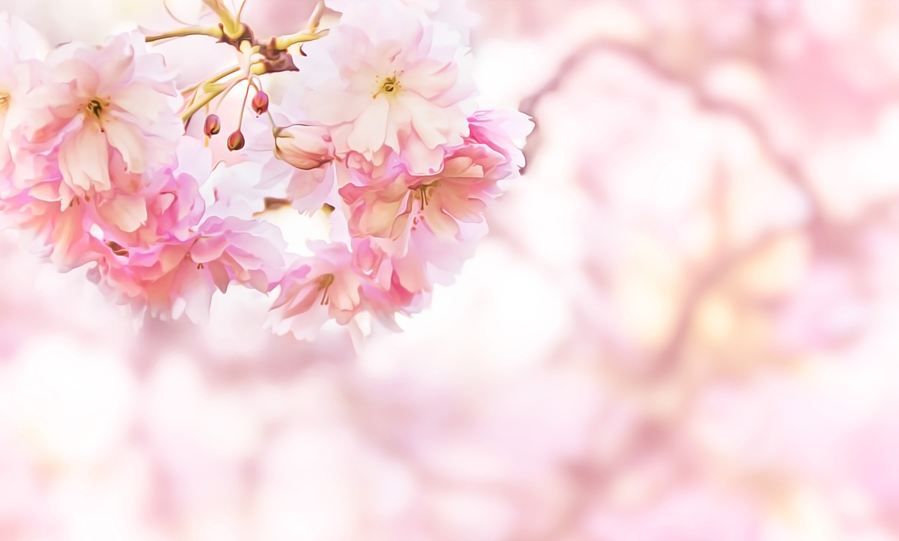 Spring Background Stock Photos, Images and Backgrounds for Free Download