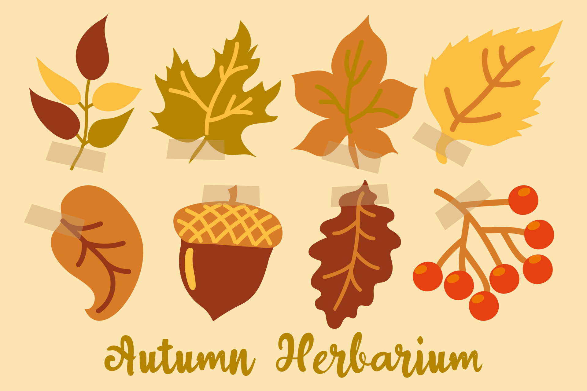 Decorative autumn herbarium with leaves, a branch of berries and an ...