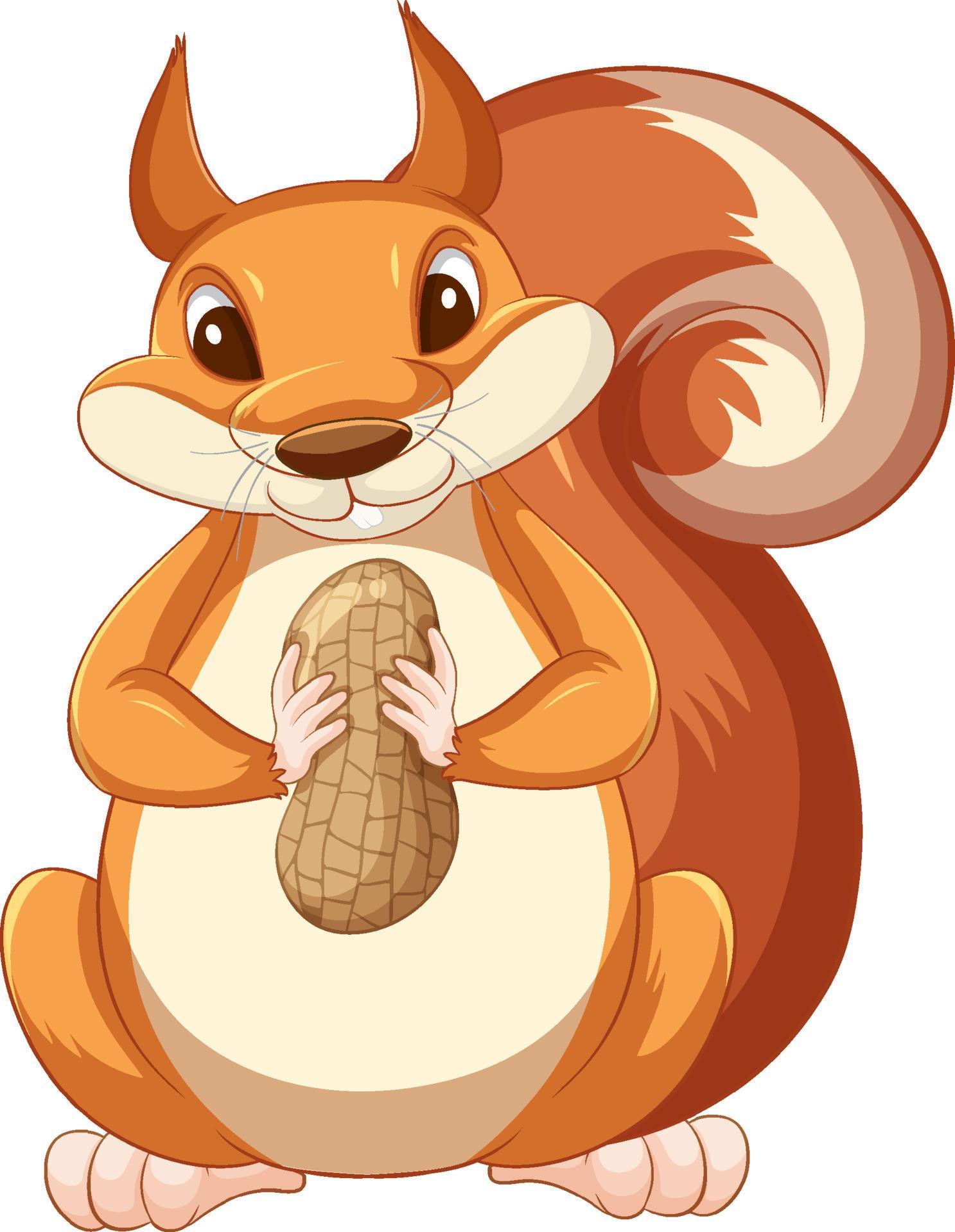 Cute cartoon squirrel holding peanut on white background 6768759 Vector ...