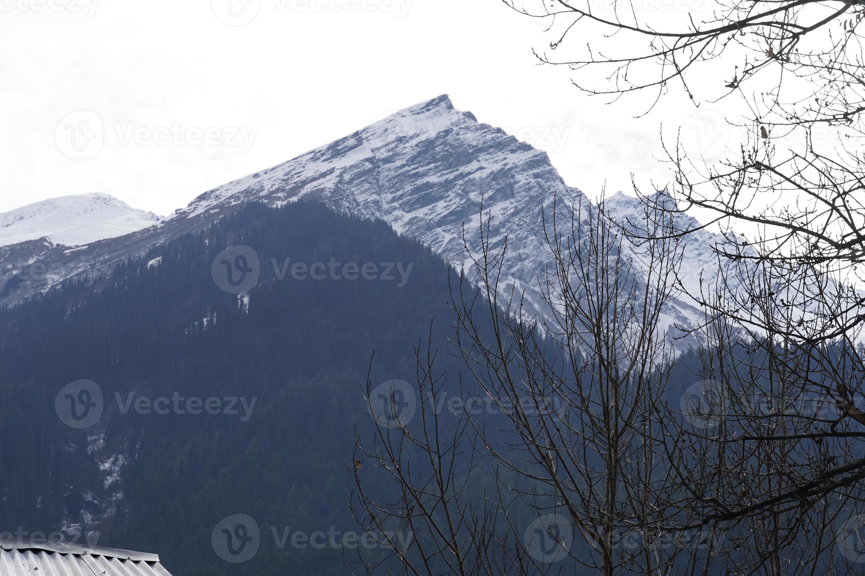 Beautiful mountain with trees Image 6784252 Stock Photo at Vecteezy