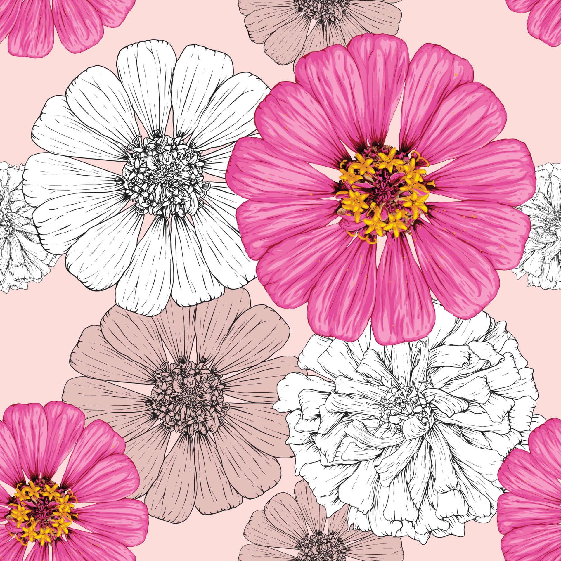 Seamless pattern floral with vintage Zinnia flowers black color ... Seamless pattern floral with vintage Zinnia flowers black color ...