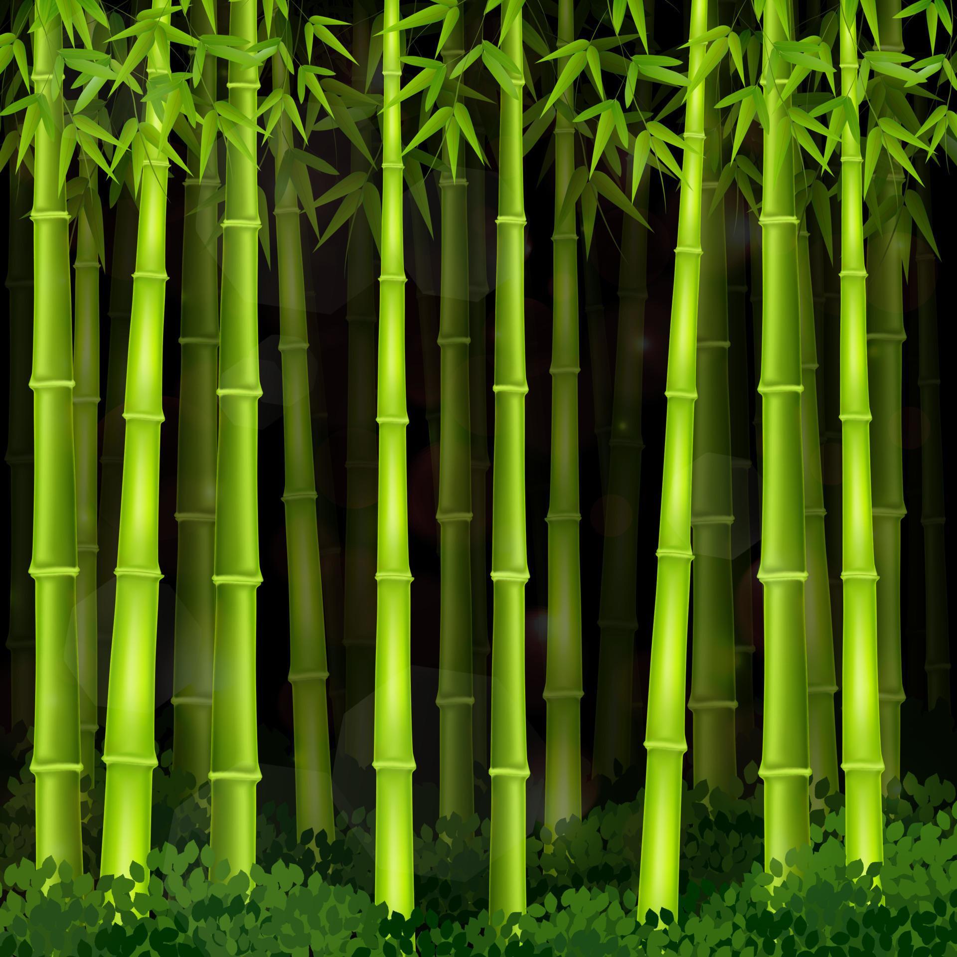 Vector illustration of Background bamboo forest at night 6795992 Vector ... Vector illustration of Background bamboo forest at night 6795992 Vector ...