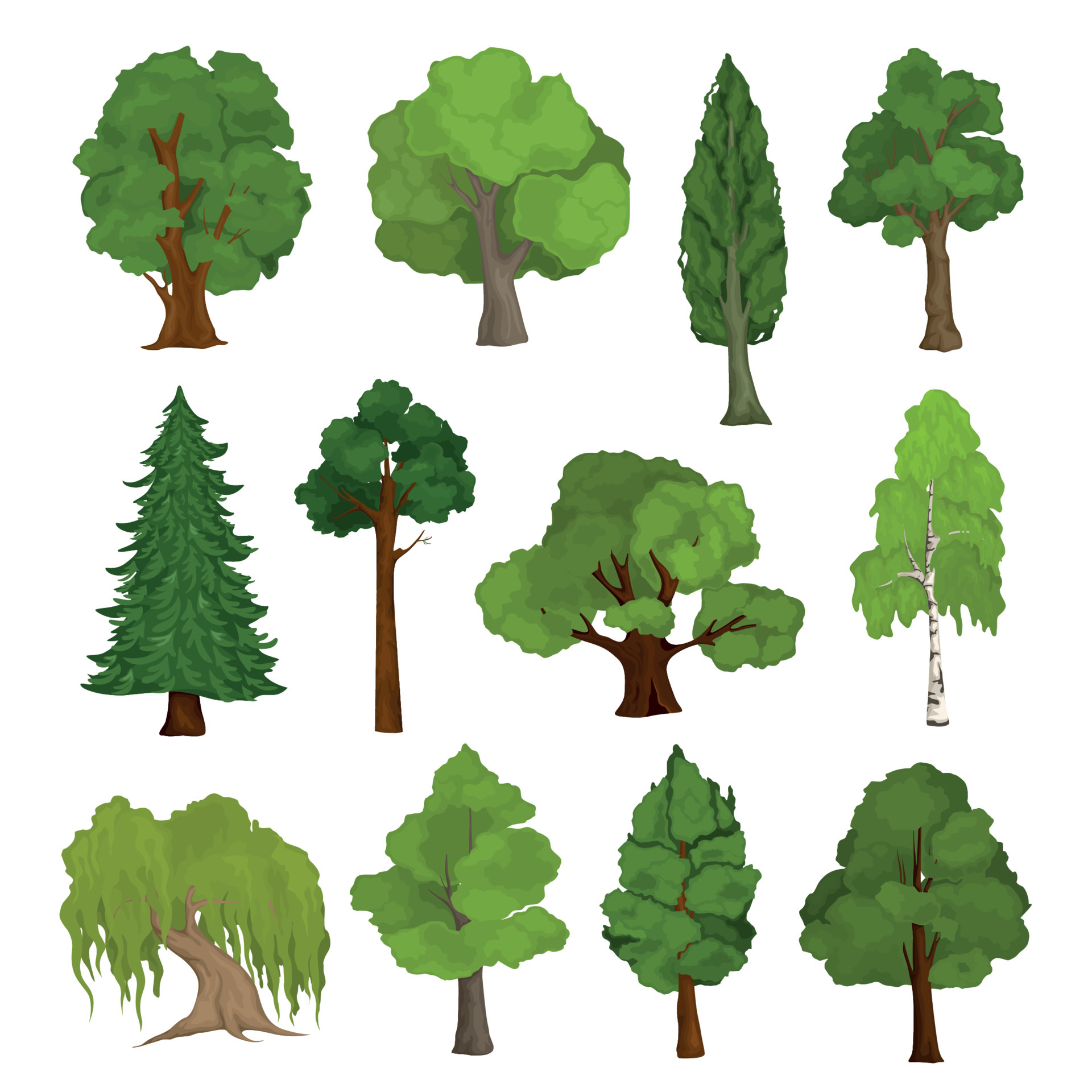 Tree Isolated Species Set 6846781 Vector Art at Vecteezy