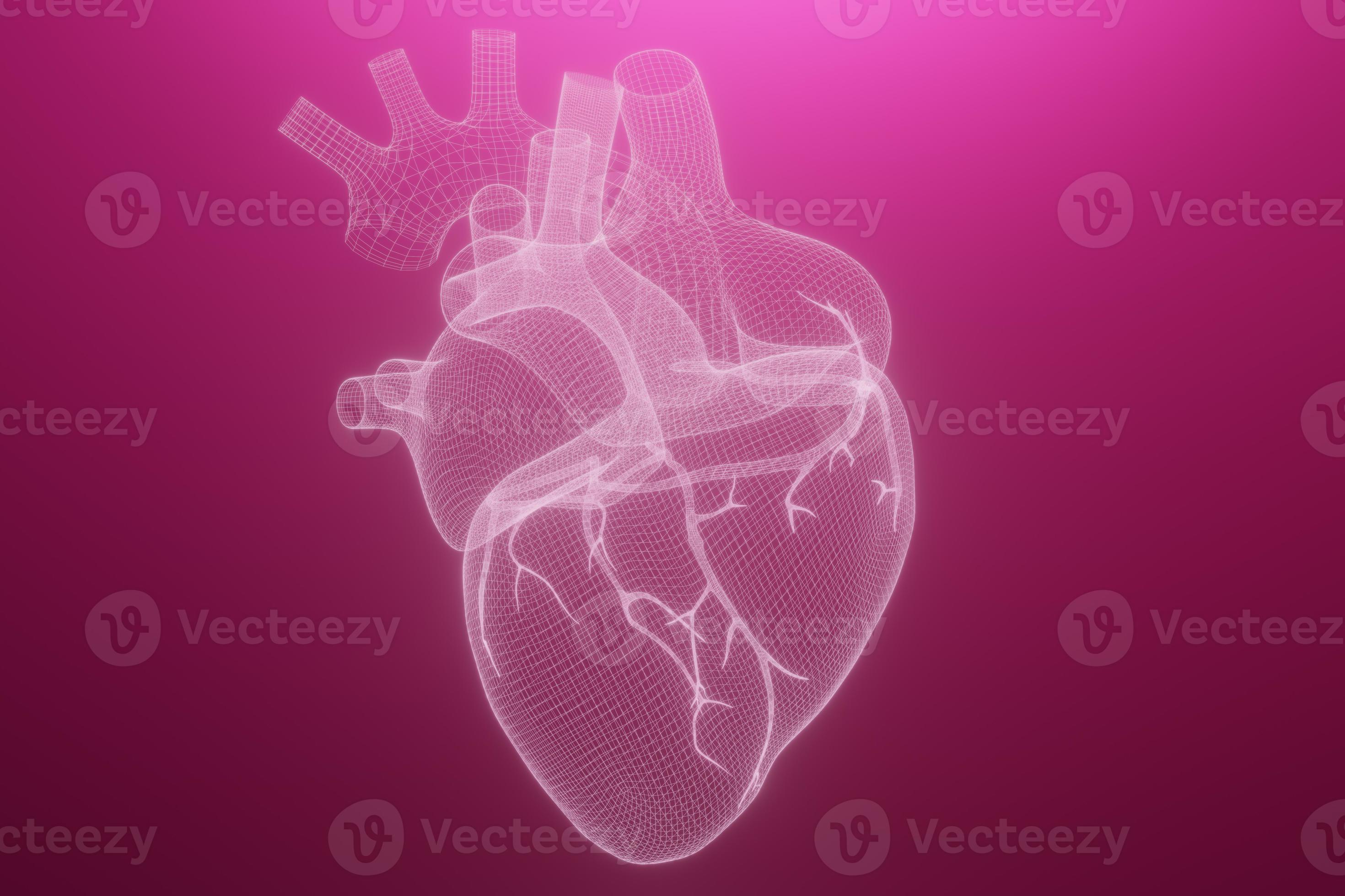 3D wireframe hearts render isolated white backgrounds, Abstract Heart icon form lines and ...